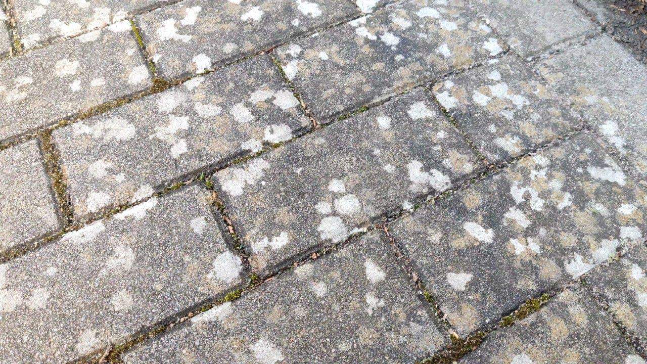Stilvolle Lflecken Auf Pflastersteinen Entfernen Fotosnull