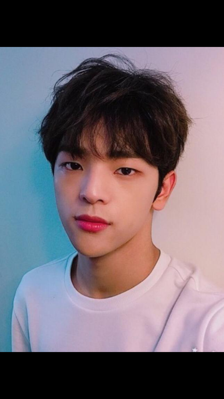 Stray kids wer ist wer? (K-Pop, Member)