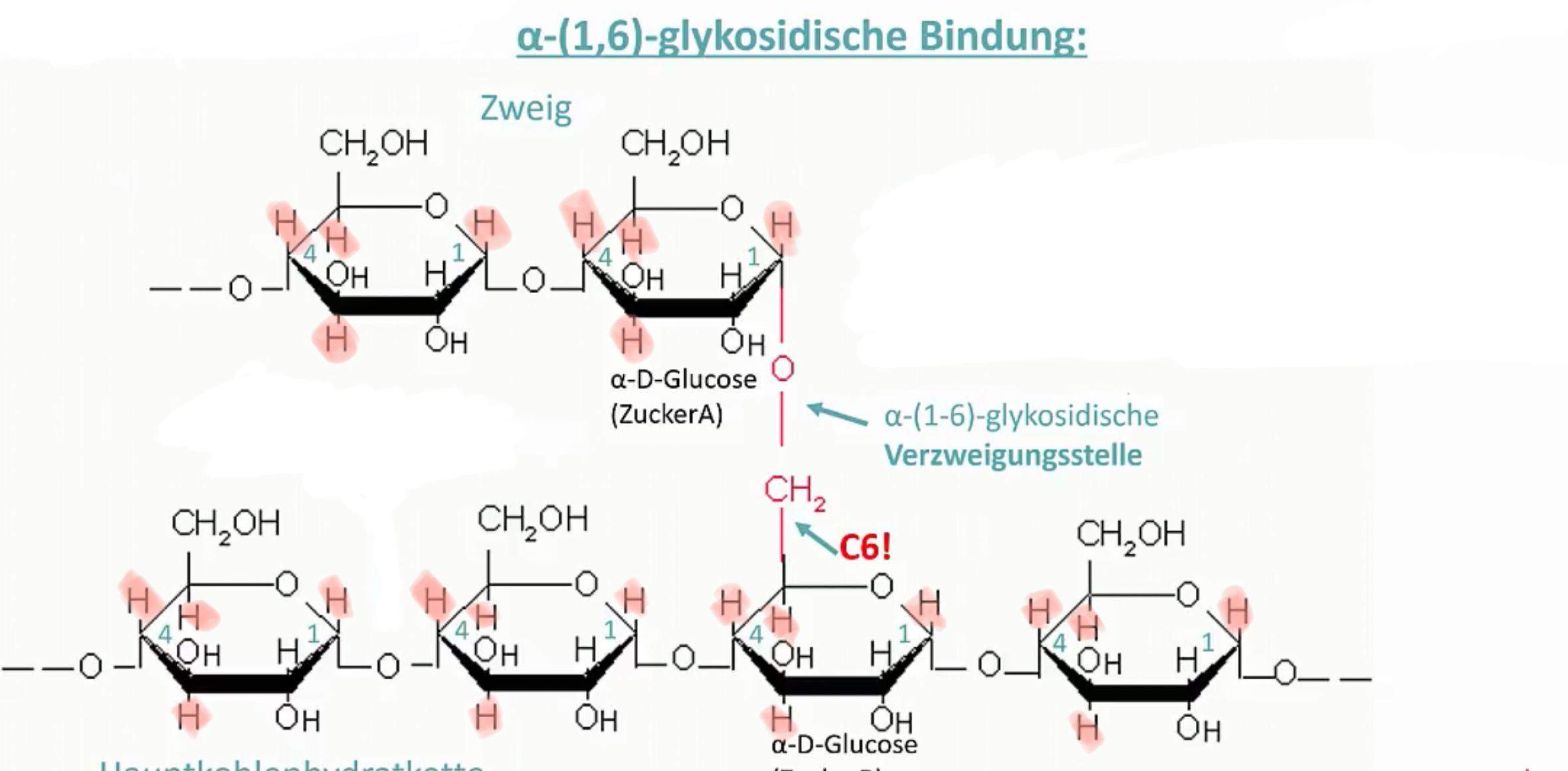 Strukturformel Saccharide? (Schule, Chemie, Video)