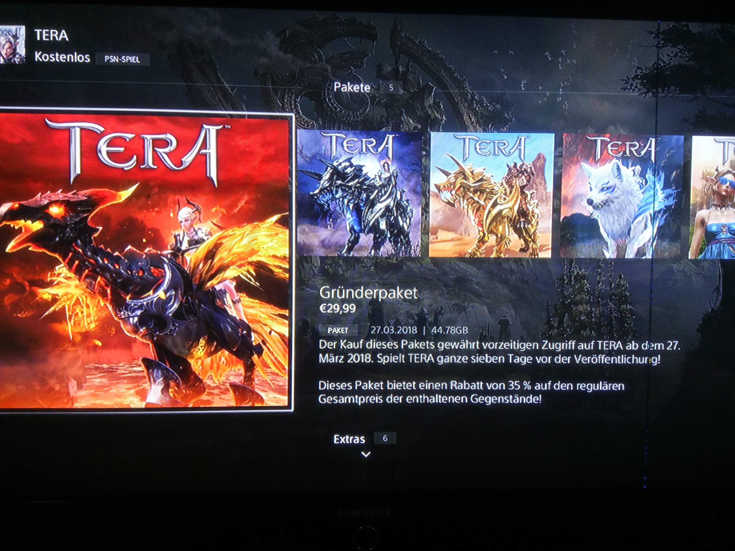 Tera Mmorpg (ps4) welches gründerpaket kaufen?