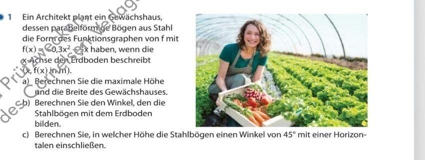 Textaufgabe Ganzrationale funktion? (rechnen, Gleichungen, Mathematiker)