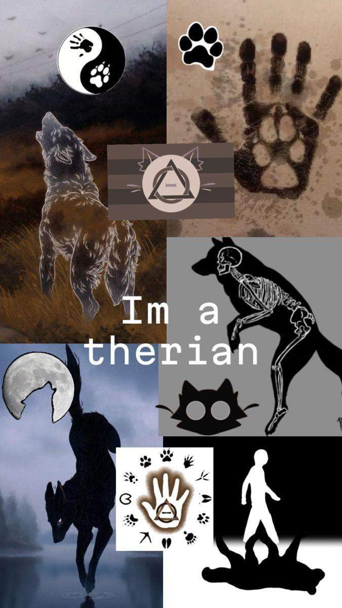 Therian in Schweiz/ St Gallen?