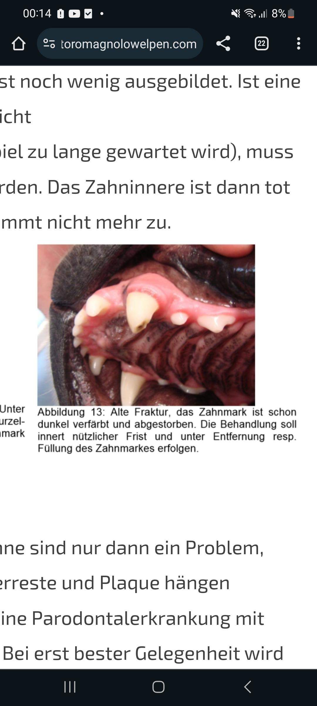 Tierarzt hat verfaulten Zahn nichh entfernt warum? (Gesundheit, Zähne ...