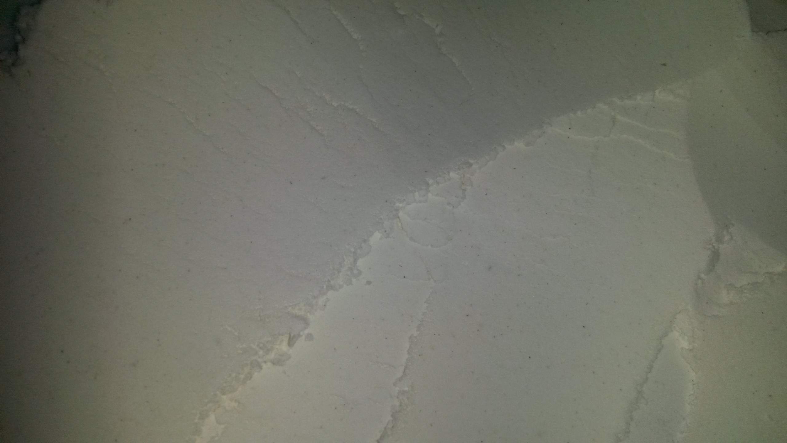 Tiere im Mehl (mit Bildern)? (Pfannkuchen)