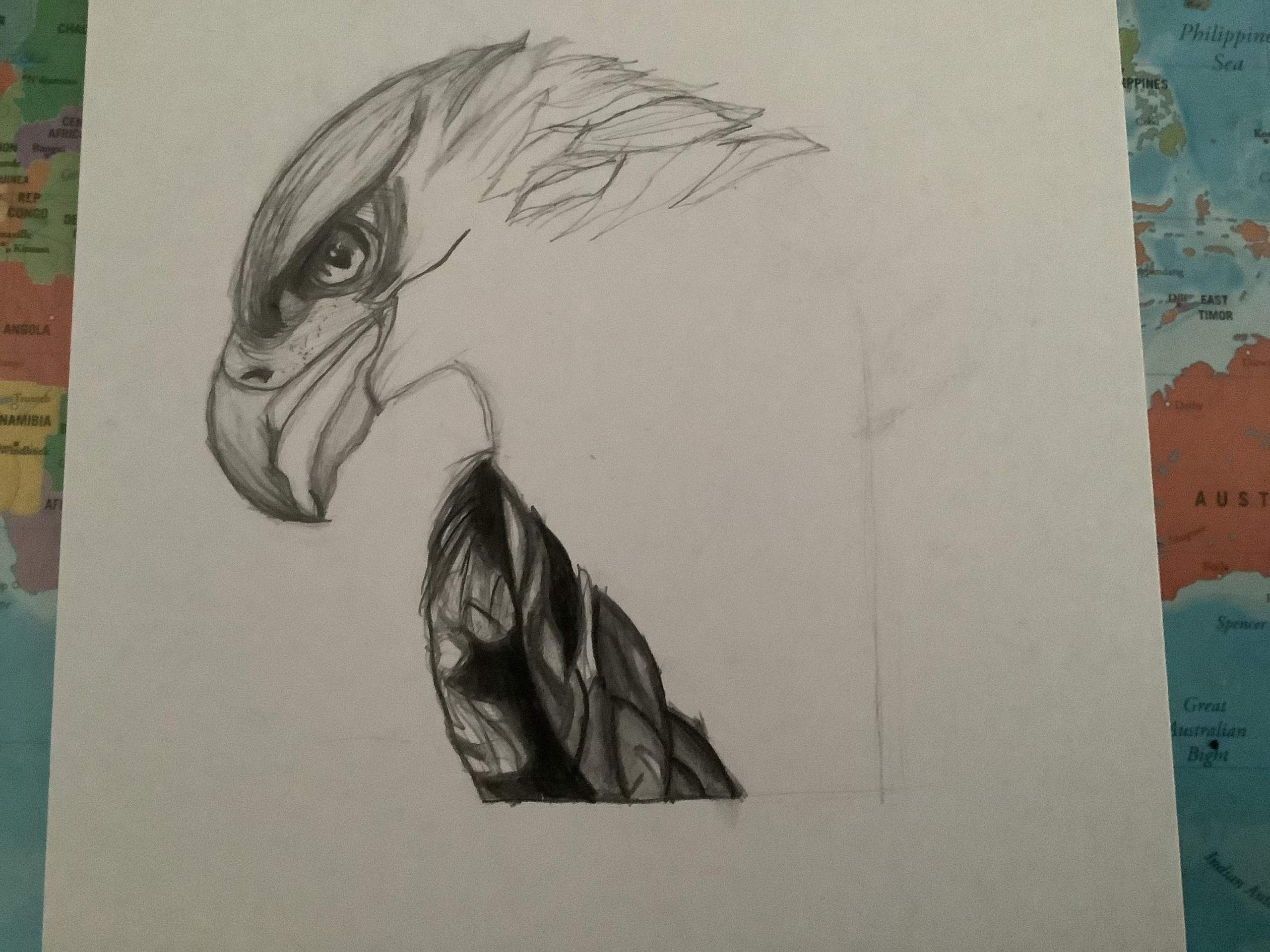 Tipps zum Adlerfedern zeichnen? (Bilder, Kunst, malen)