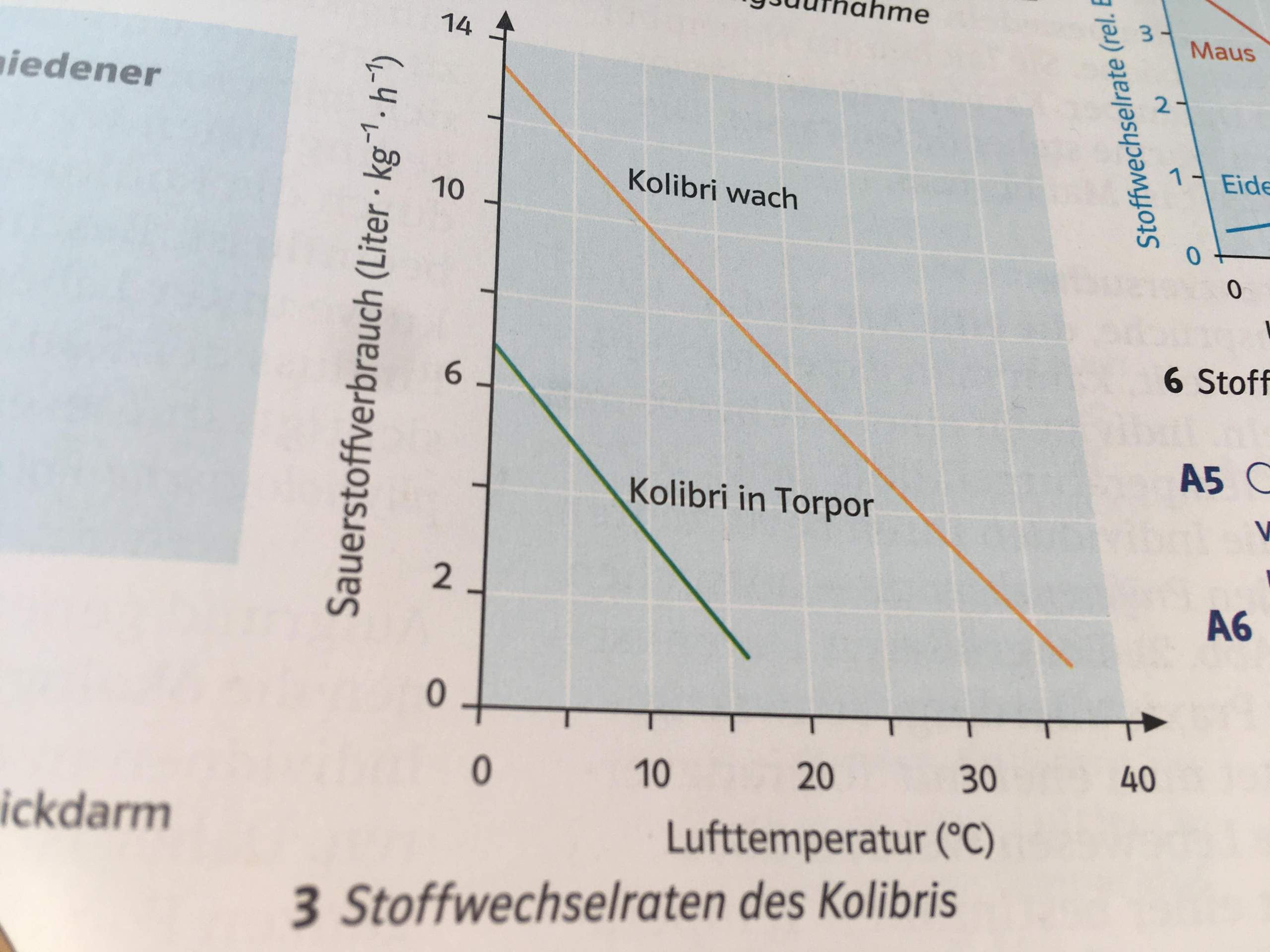 Toleranzkurven richtig ablesen? (Computer, Schule, Biologie)