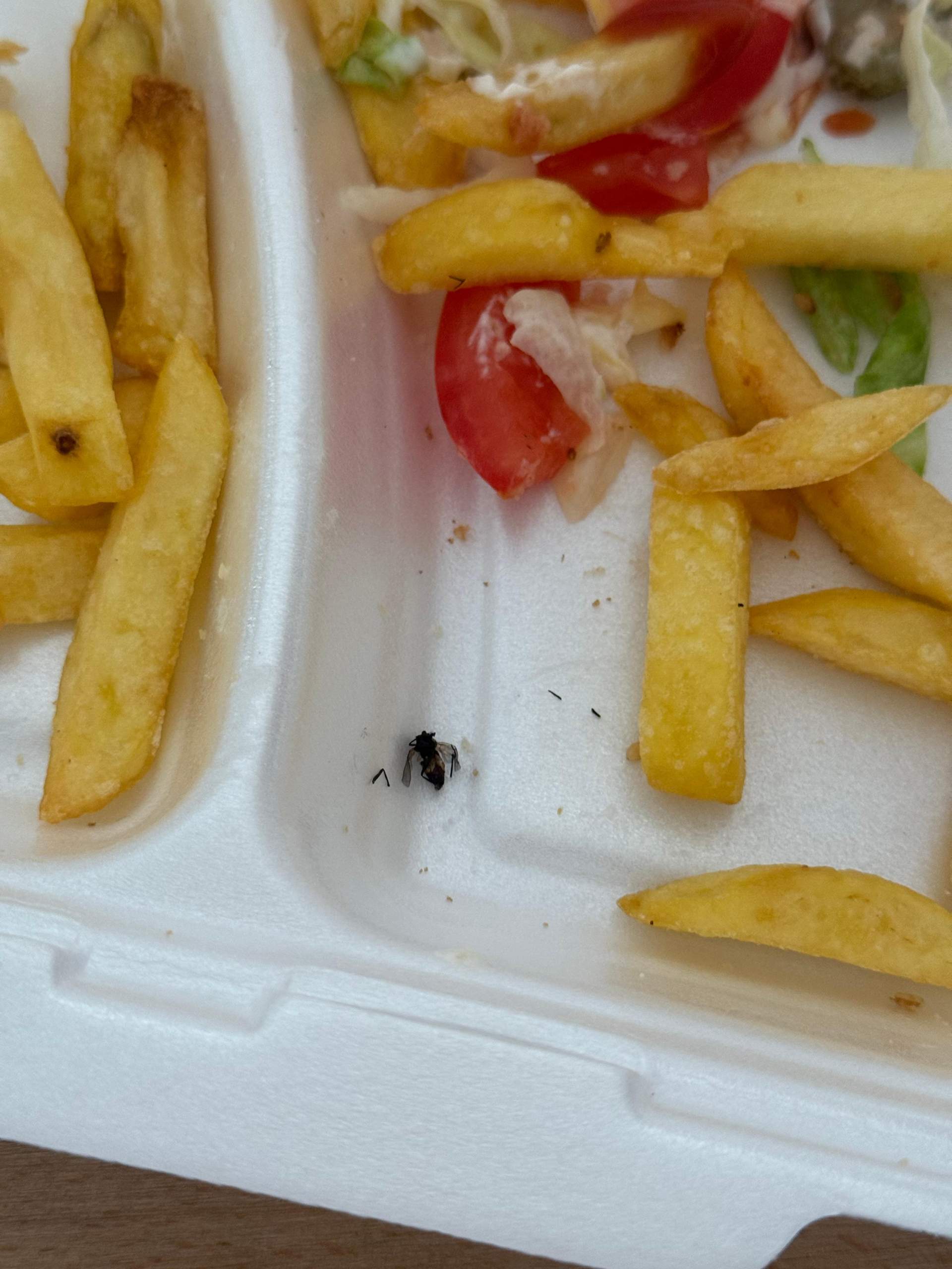 Tote Fliege in meinem Essen, was tun? (Küche, Insekten)