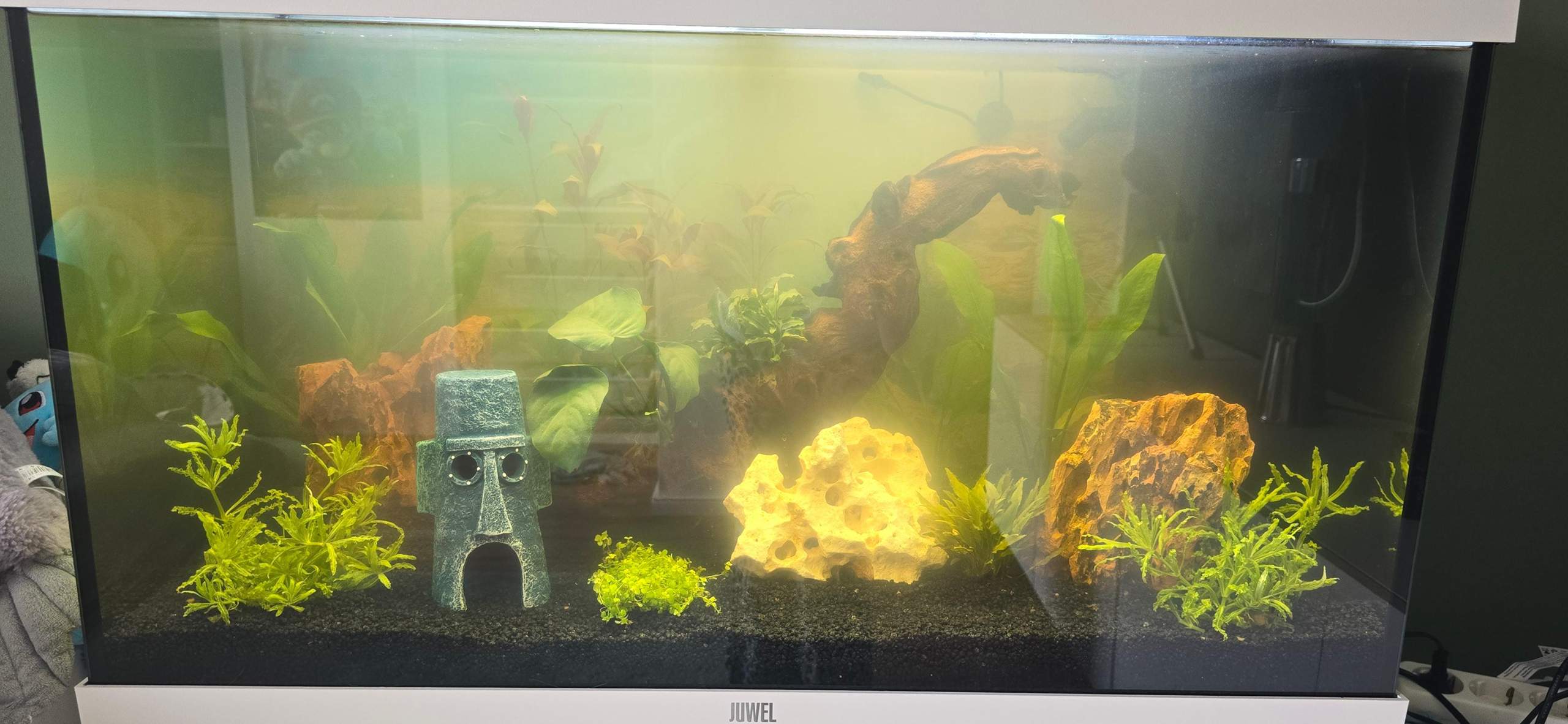 Trbes Wasser Im Aquarium