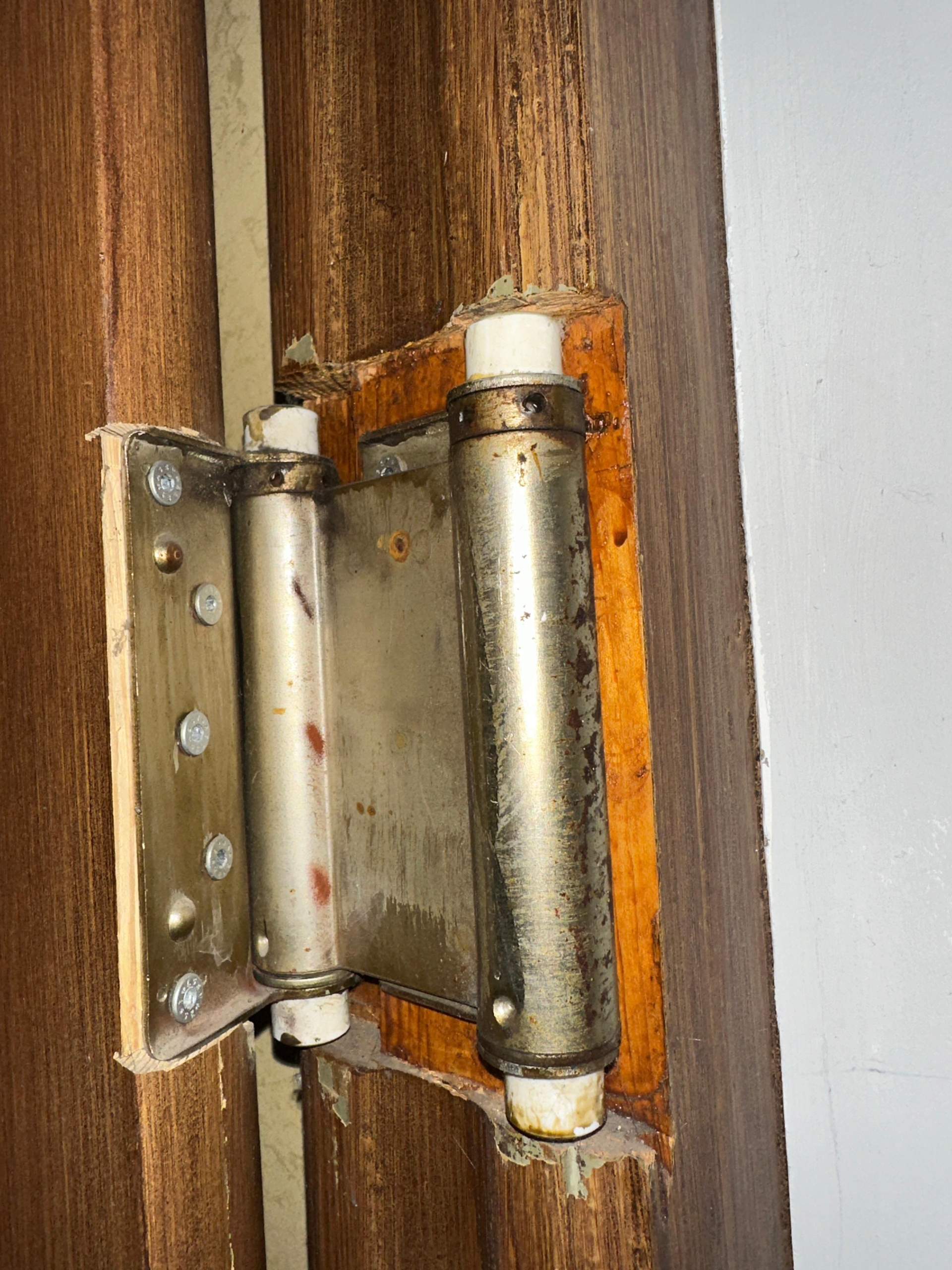 Türpendelscharnier feststellen? (Handwerk, heimwerken)