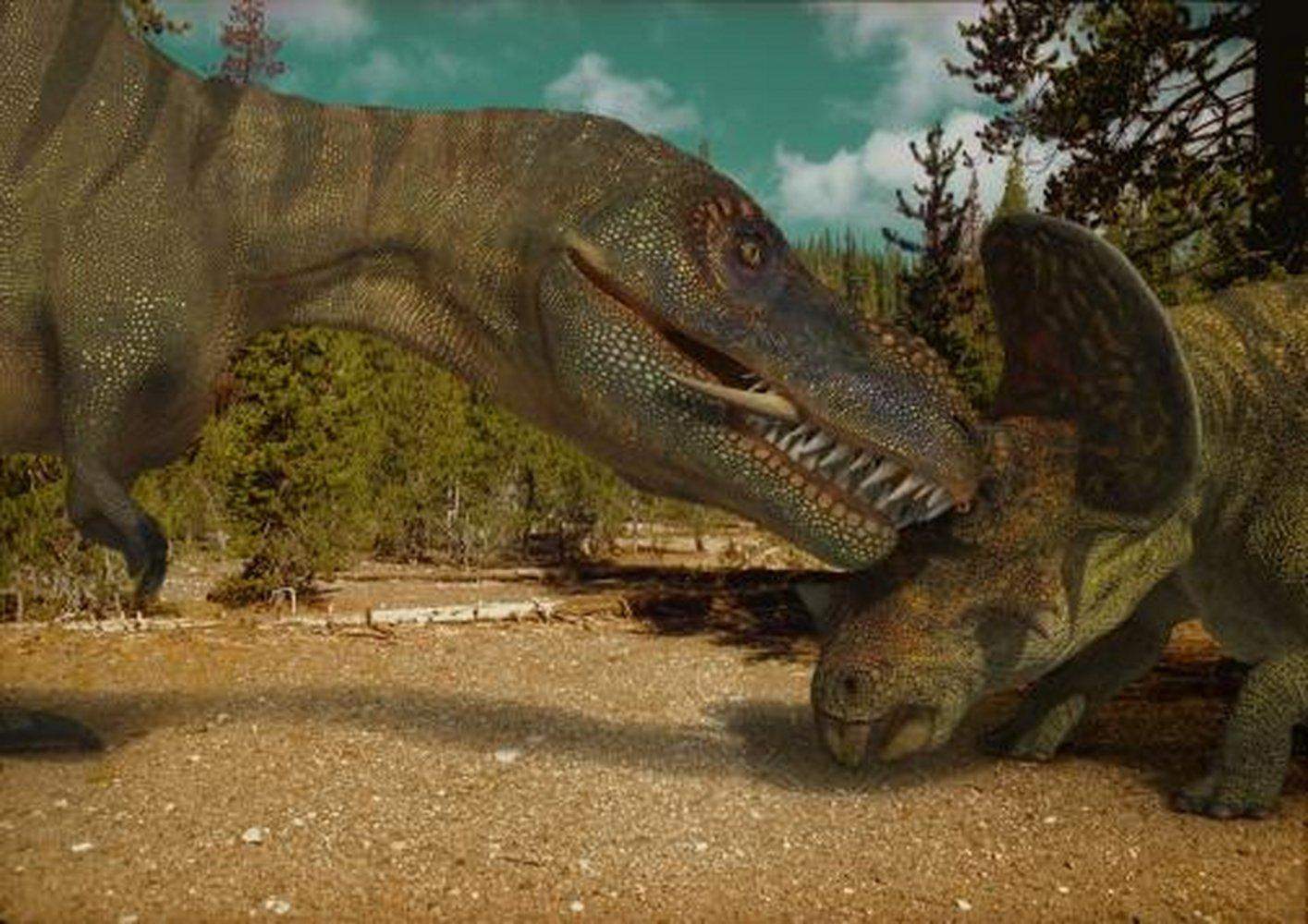 Tyrannosaurus rex vs Triceratops? (Evolution, Dinosaurier, Paläontologie)