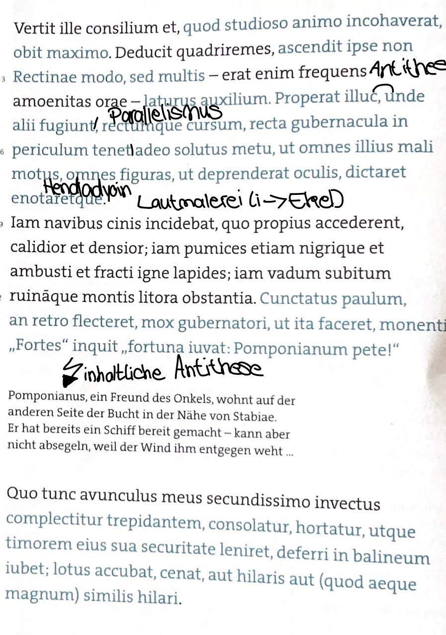Um was geht es in diesem Text? (Latein, plinius)