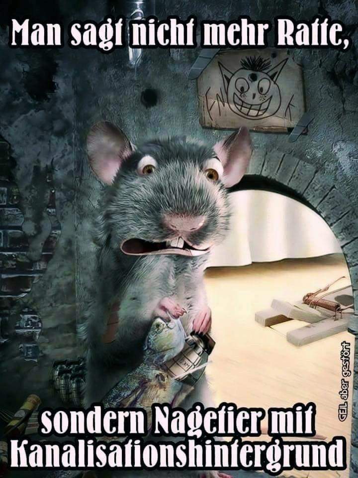 Umfrage - Findest du solche Bilder lustig :)? (Leben, Abstimmung, Humor)