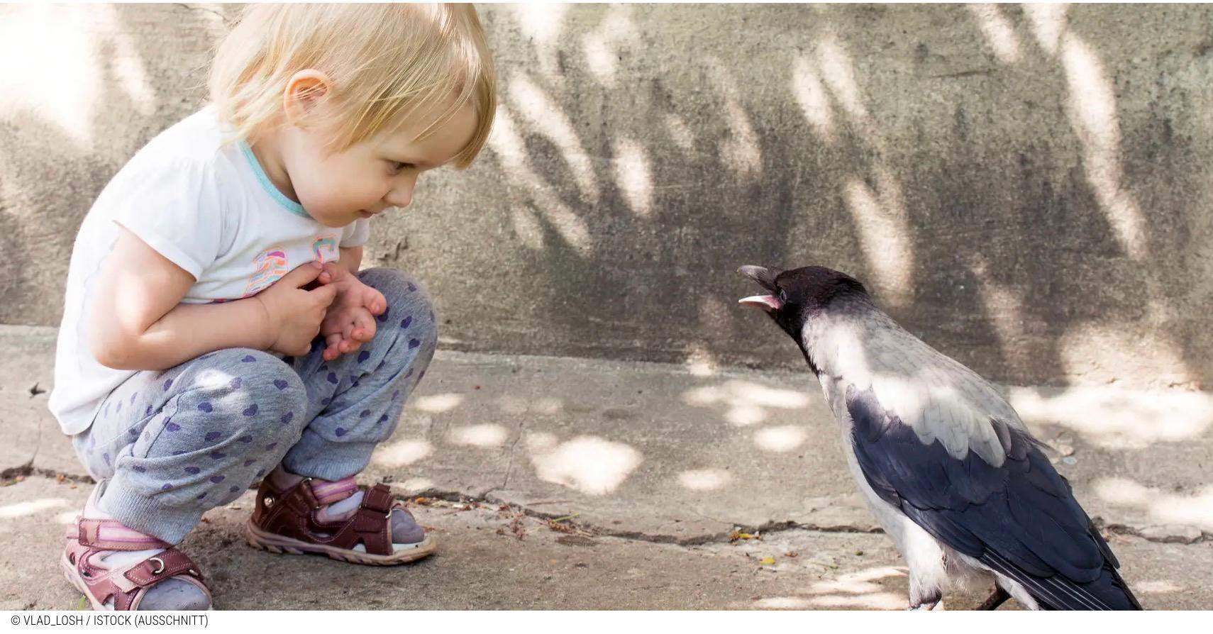 Umfrage: Durch KI mit Tieren sprechen können? (Psychologie, Menschen ...