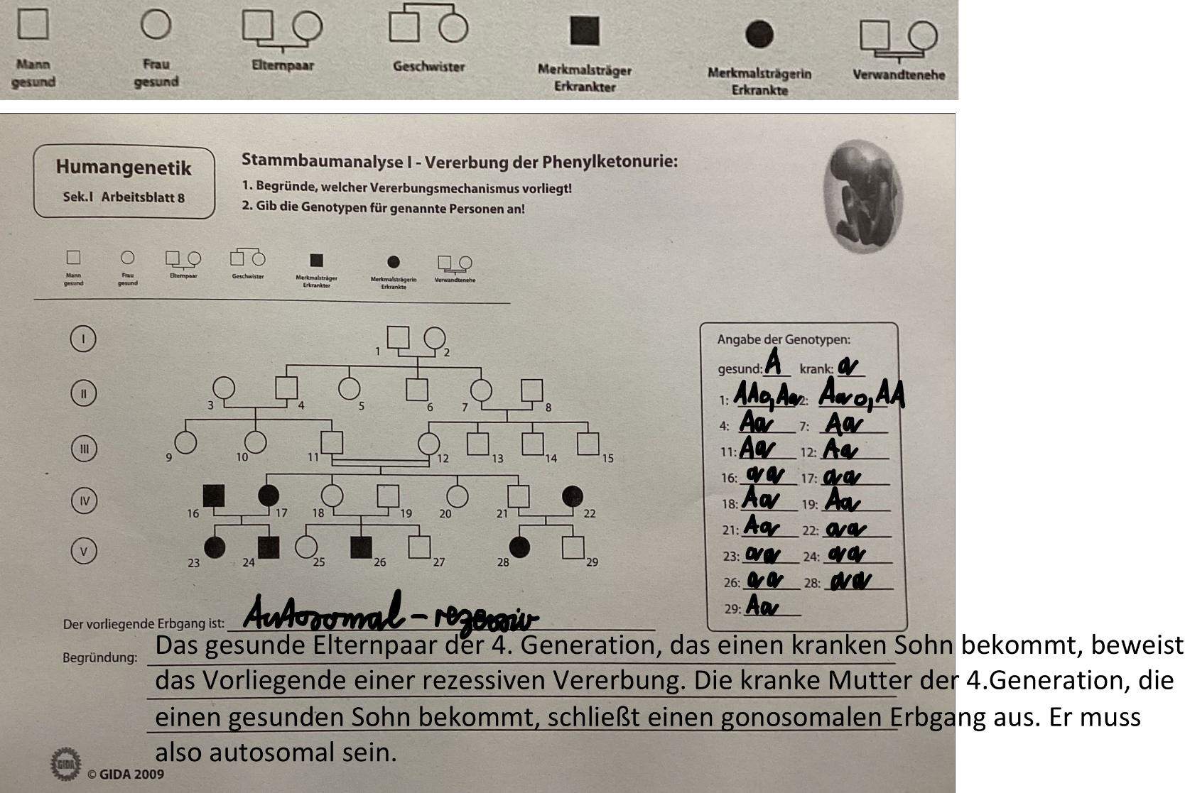 unterschied gonosomale/autosomale Vererbung, wie erkennen? (Genetik, Bio, Biologieunterricht)