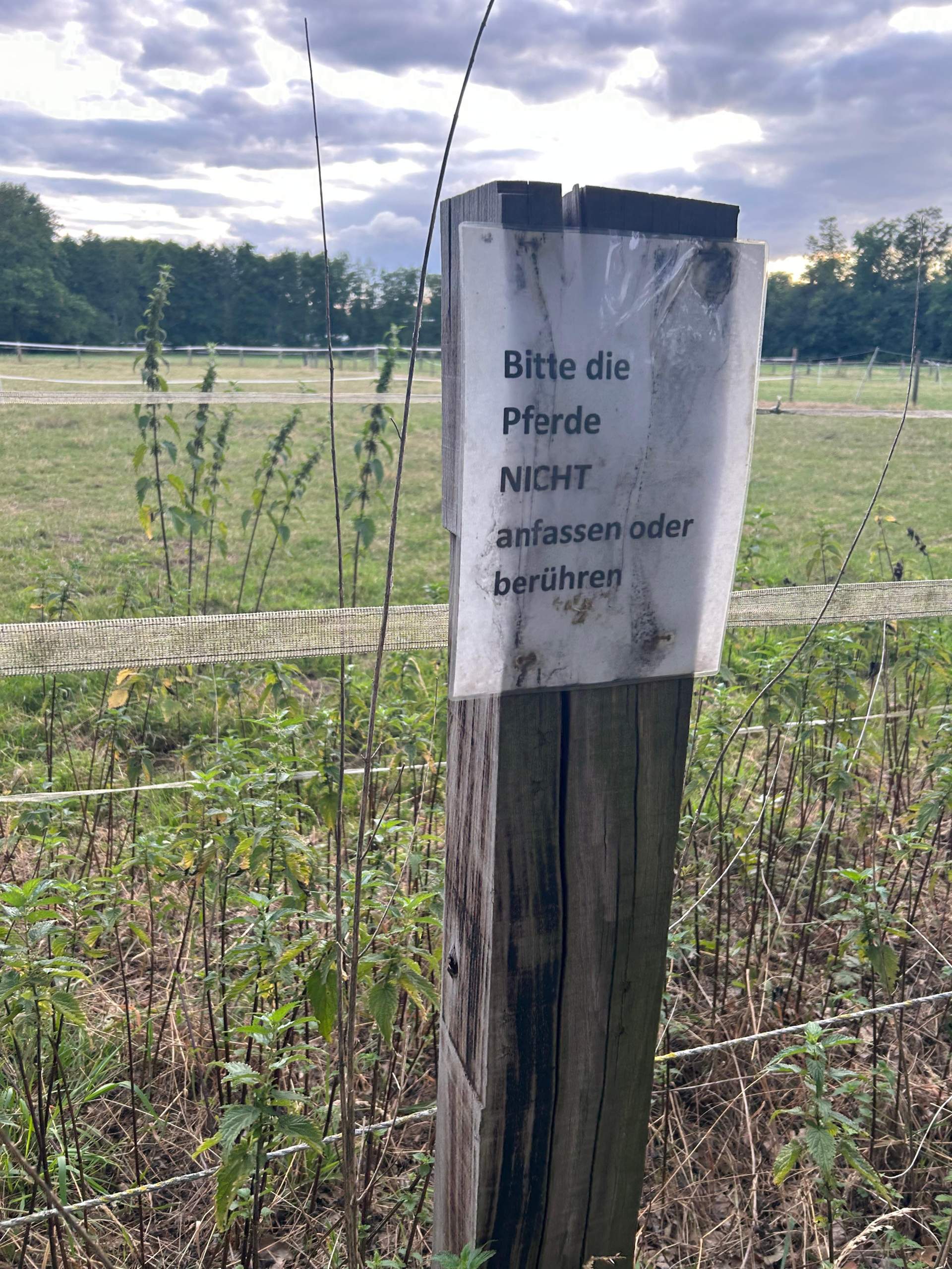 Unterschied zwischen berühren und anfassen? (Pferd, Verbot, Schild) Unterschied zwischen berühren und anfassen? (Pferd, Verbot, Schild)