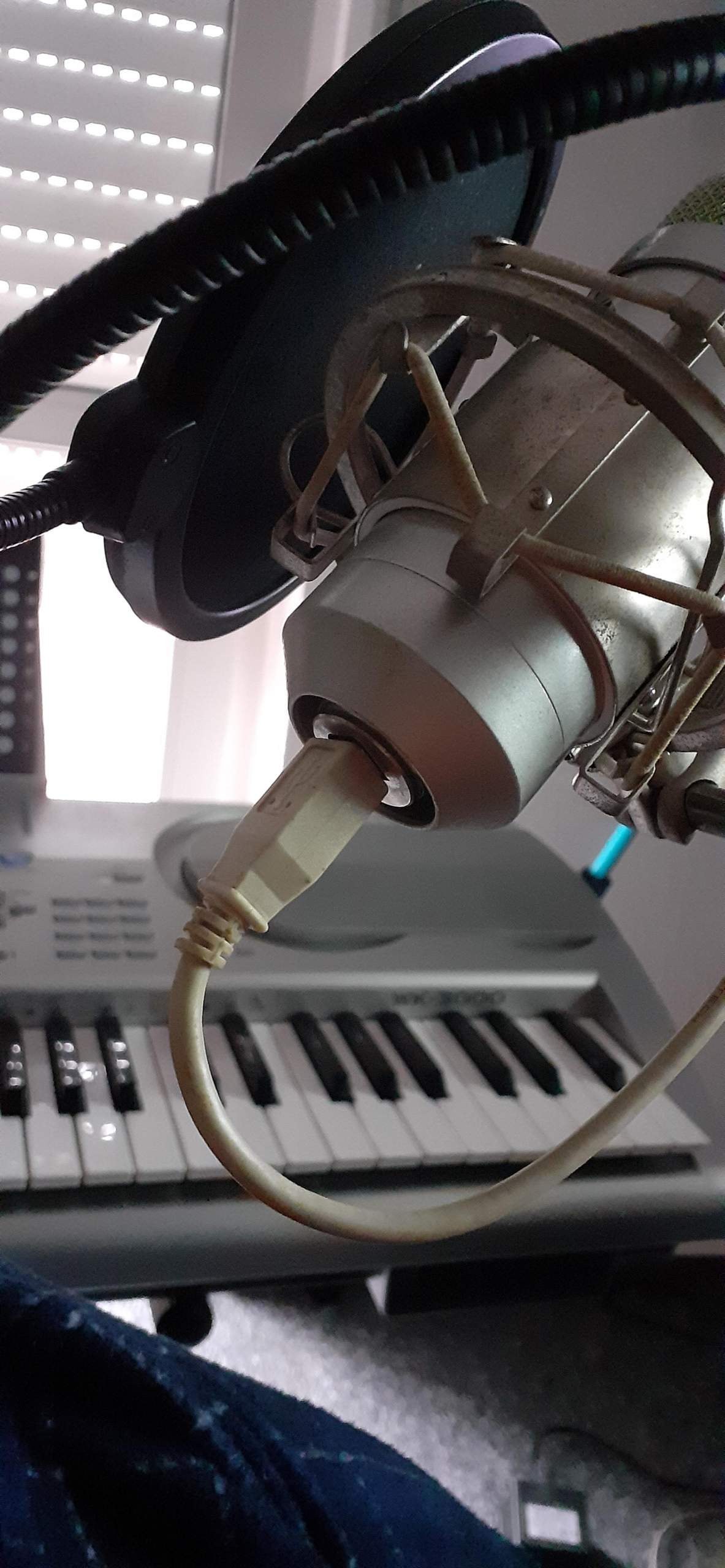 USB Mic an XLR Port anschließen? (Computer, Technik, PC)