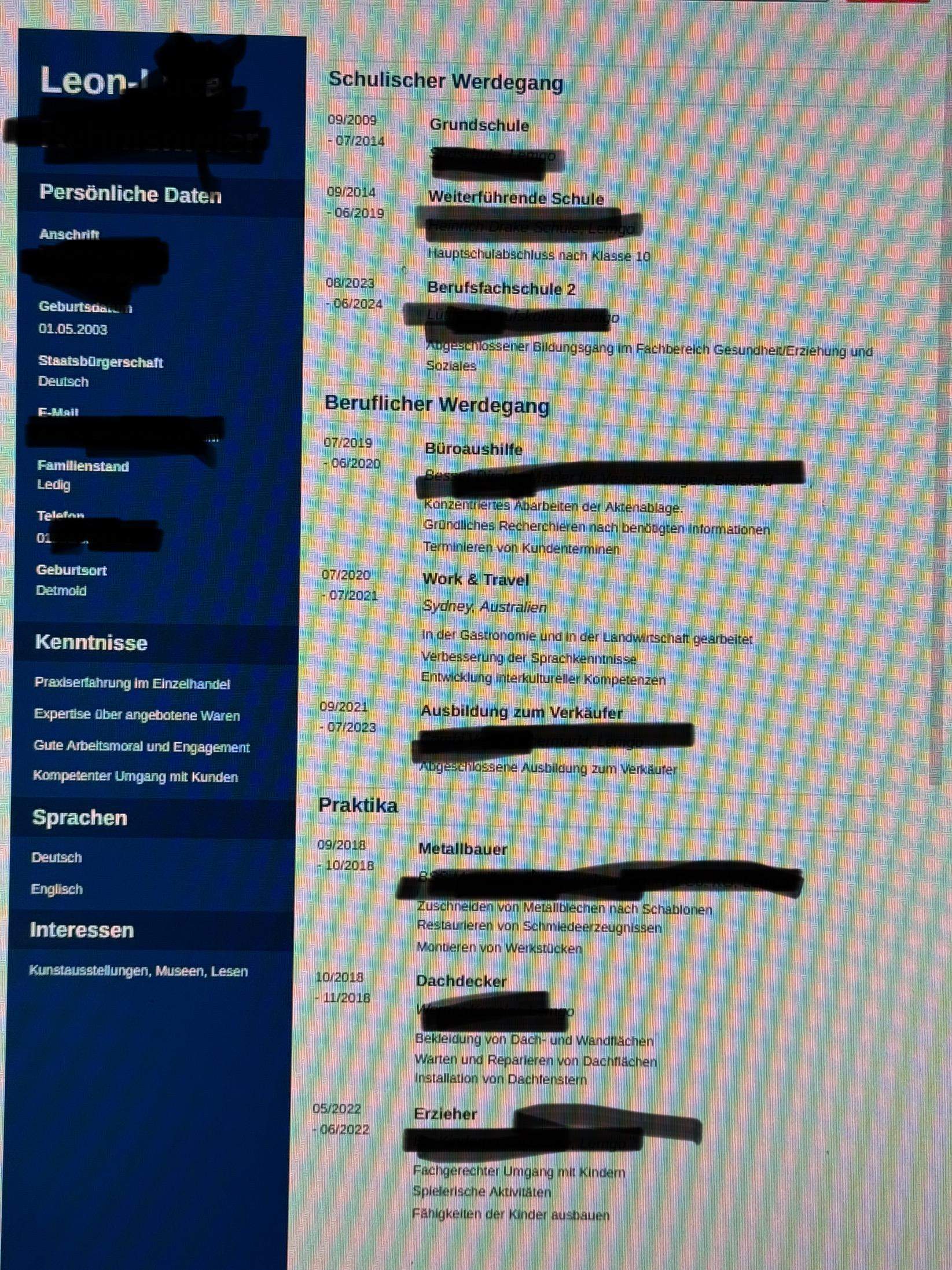 Verbesserungstipps bei diesem Lebenslauf? (Arbeit, Deutsch, Beruf)
