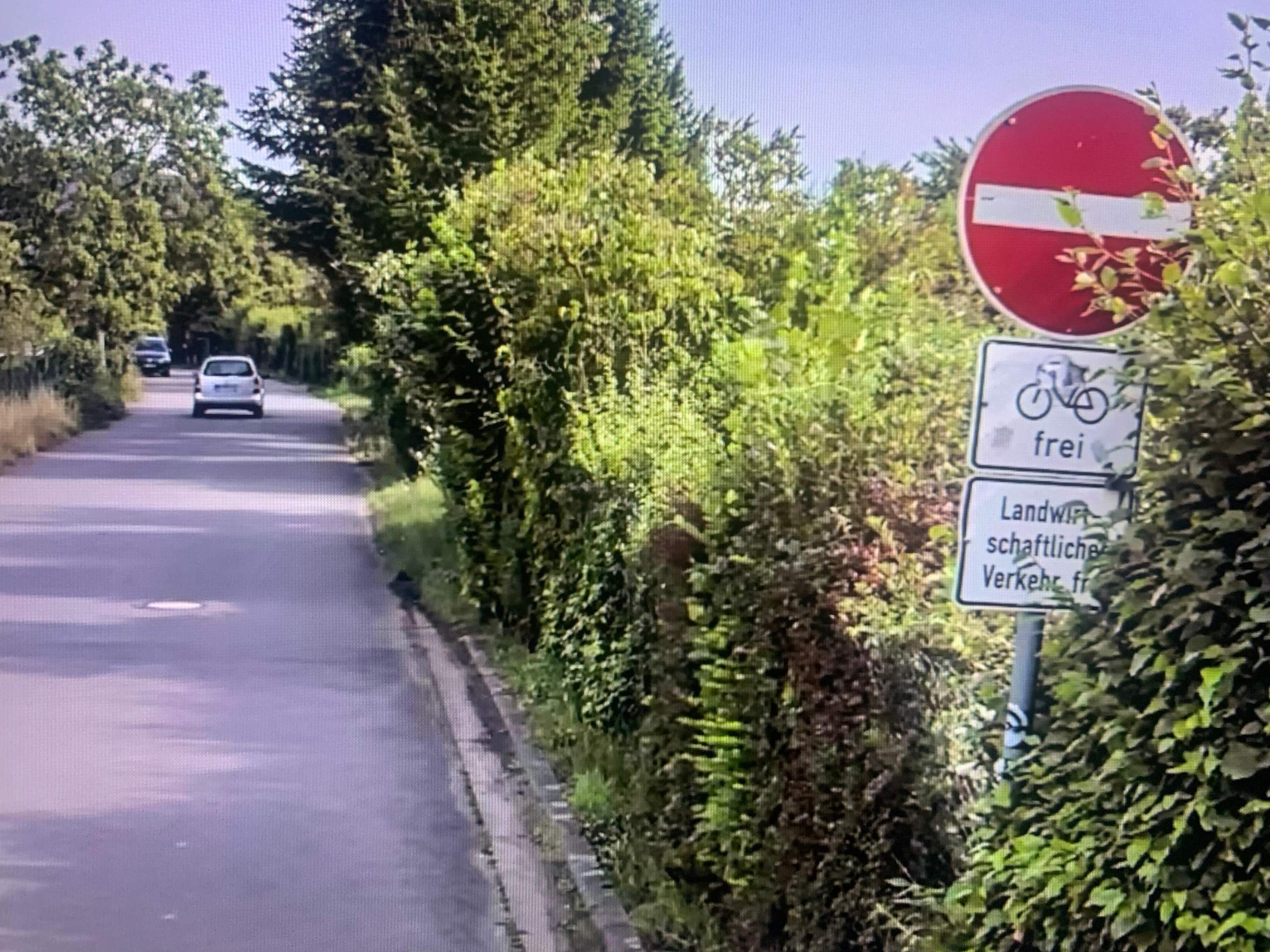 Verkehrsschild Erklärung? (Recht, Auto, Führerschein)