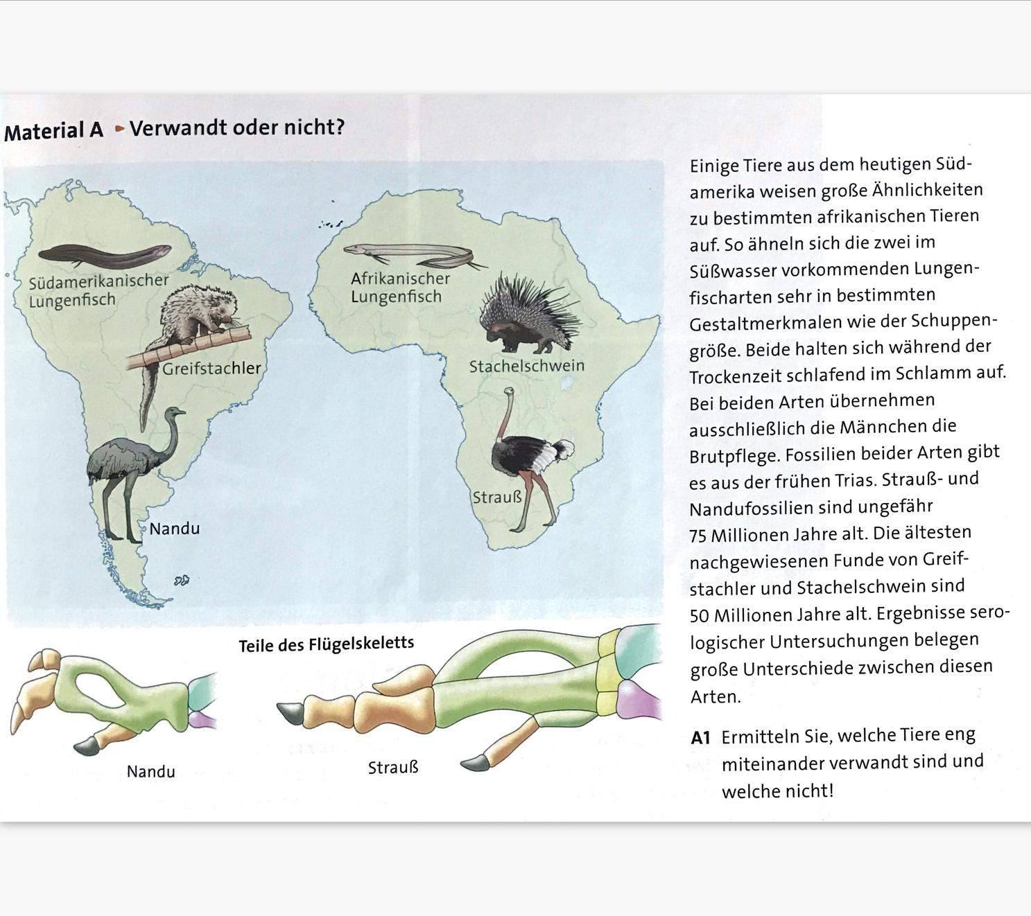 Verwandt oder nicht?-Biologieunterricht? (Biologie, Verwandtschaft)