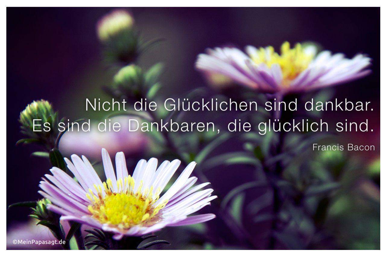 Wann warst Du das letzte mal so richtig dankbar... und wofür war diese ...