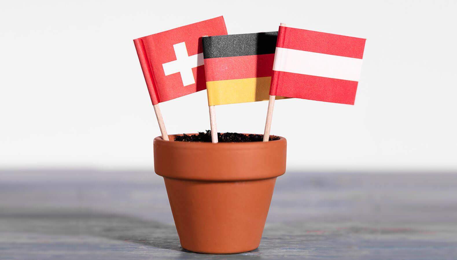 Warum DACH Region? (Politik, Menschen, Deutschland)