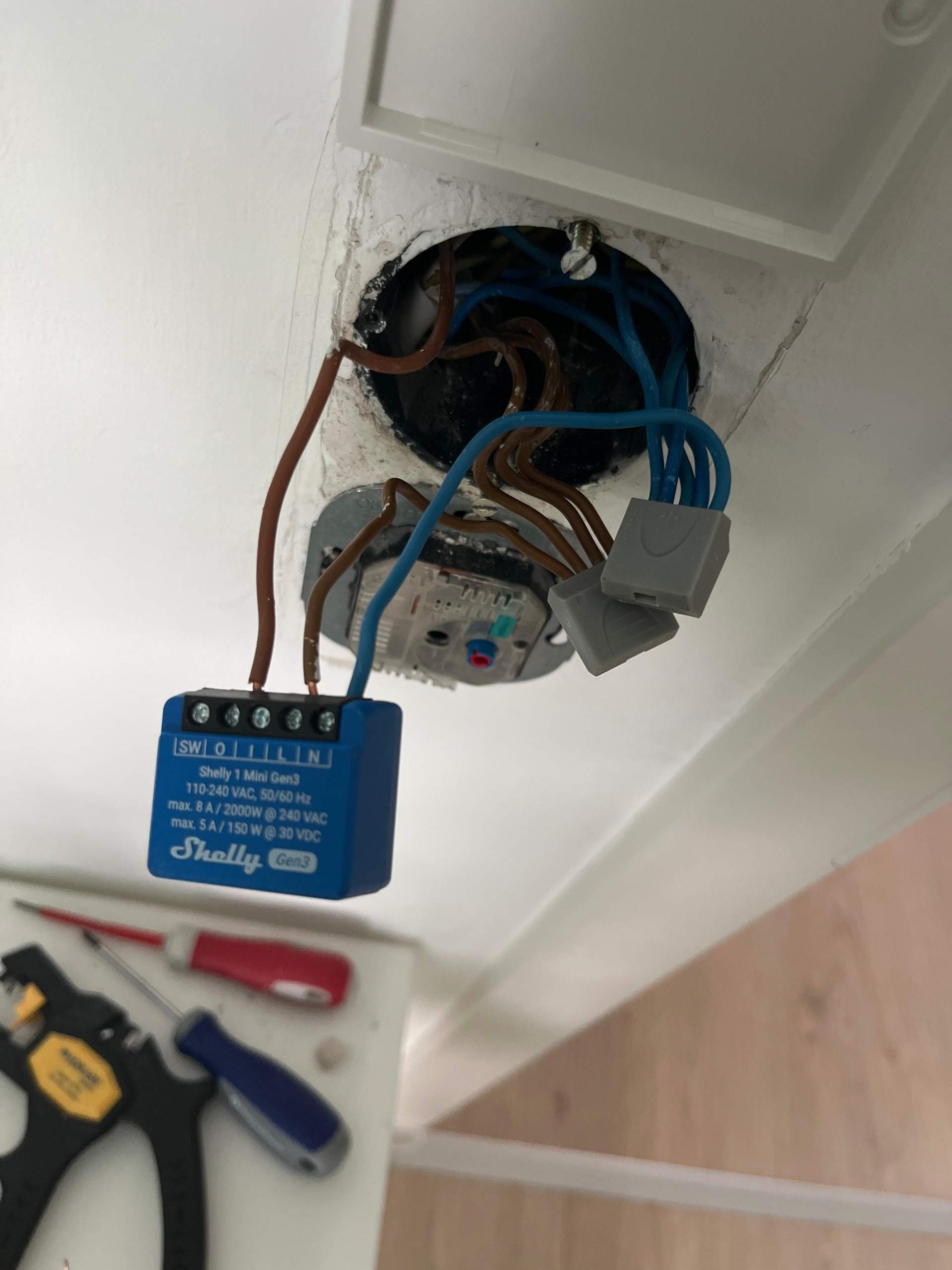 warum funktioniert mein Shelly nicht? (Elektrik, Kabel, Lampe)