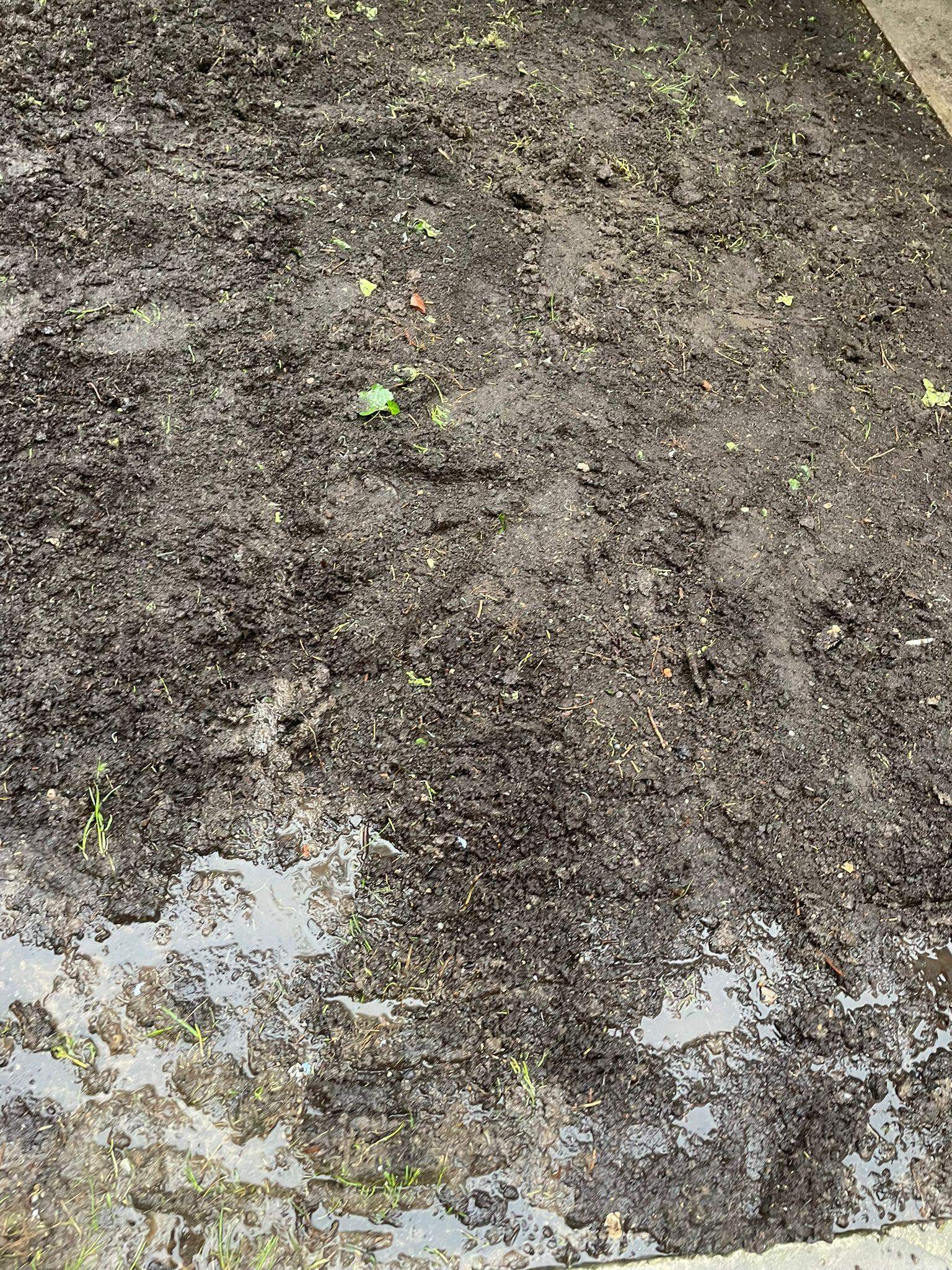 Warum Ist meine Gartenerde zu matschig? (Garten, Erde, Gartenarbeit)