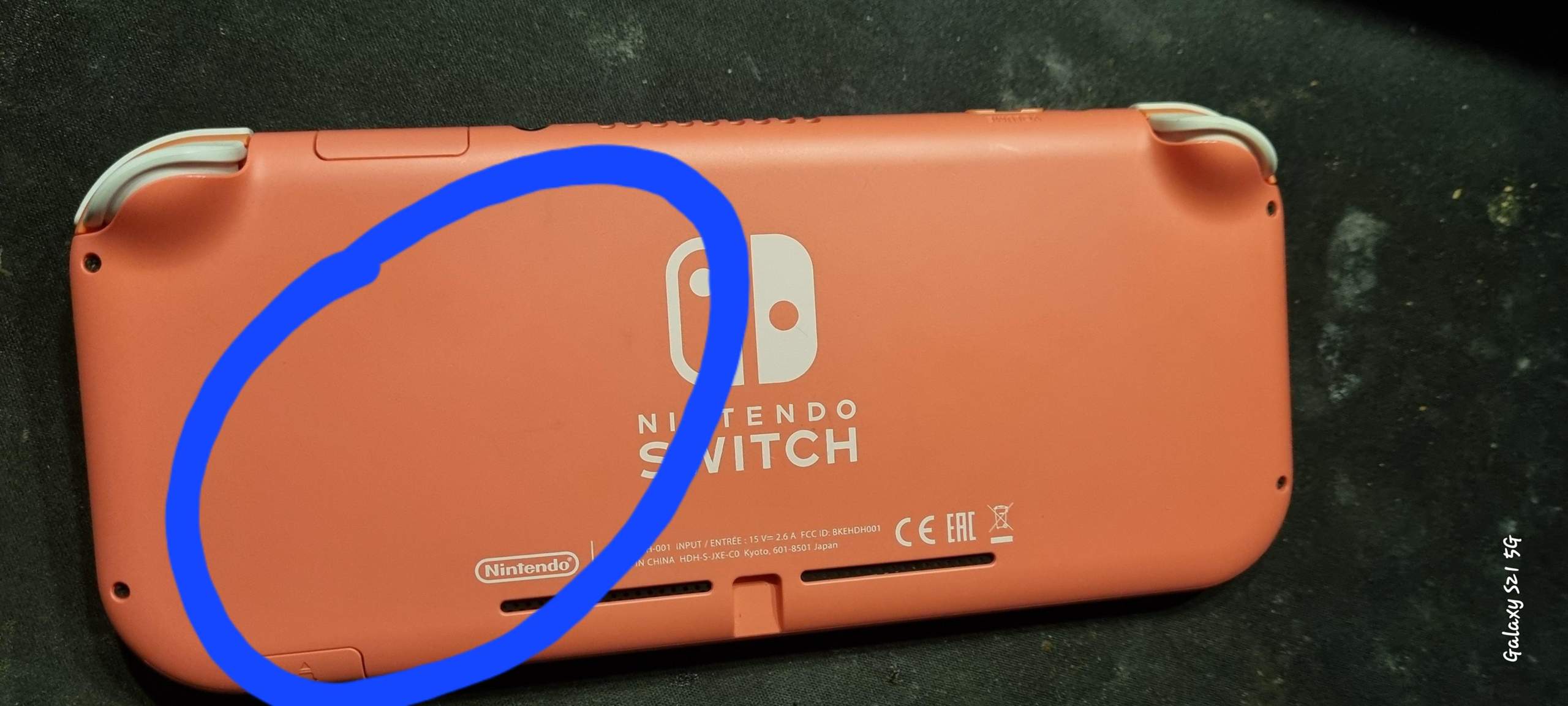 Warum ist meine Switch so warm? (Nintendo Switch, Nintendo Switch Lite)
