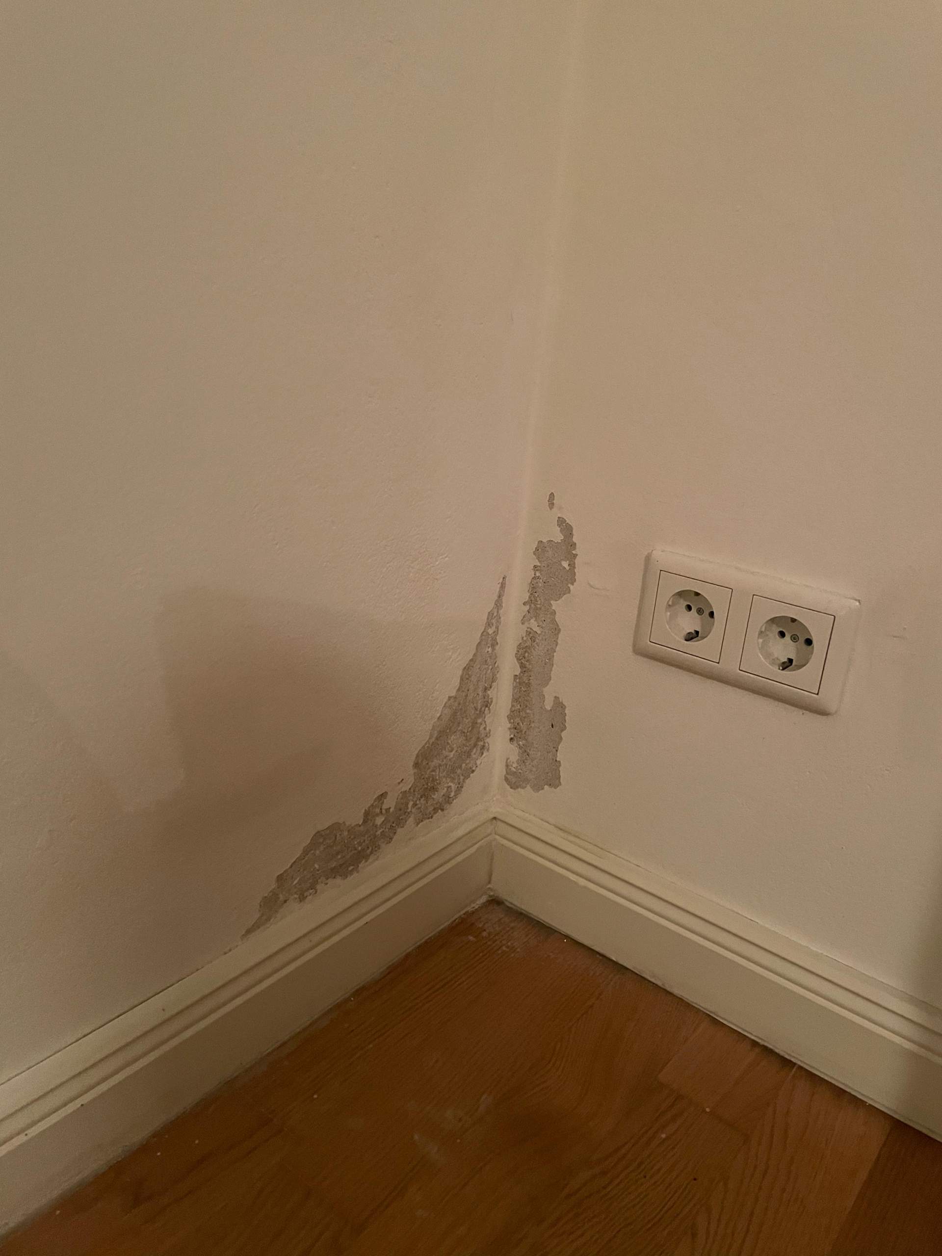 Warum löst sich der Putz? (Wohnung, heimwerken, Wand)