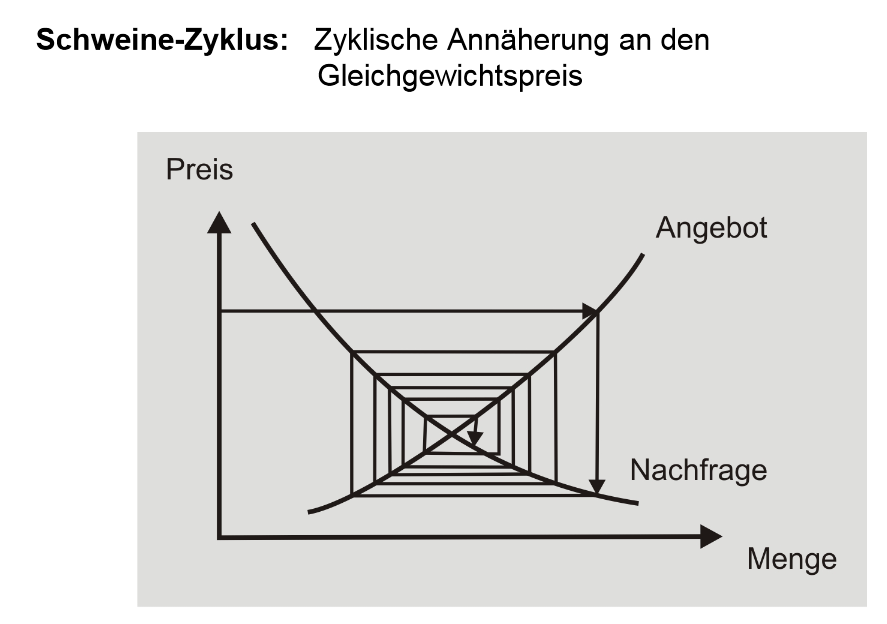 Warum nähert sich der Schweinezyklus an den Gleichgewichtspreis an? (Wirtschaft, BWL, VWL)