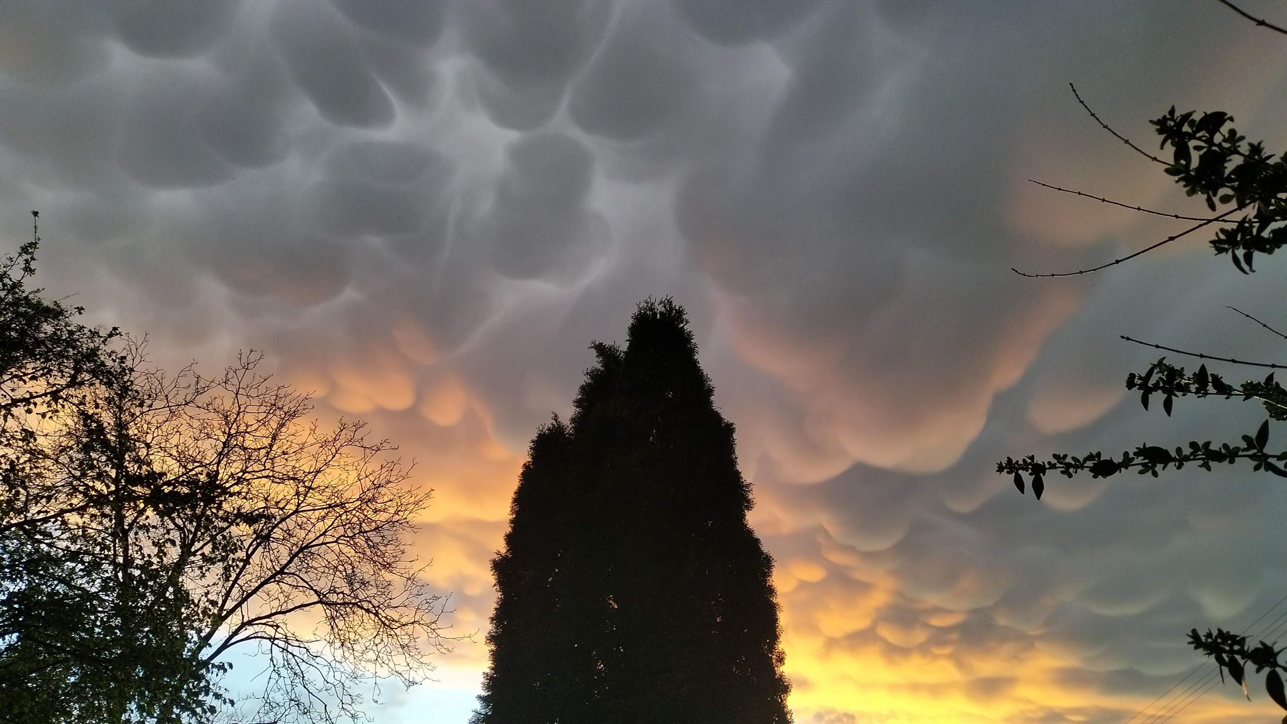 Warum sehen die Wolken so komisch aus? (Wissenschaft, Wetter, Regen)