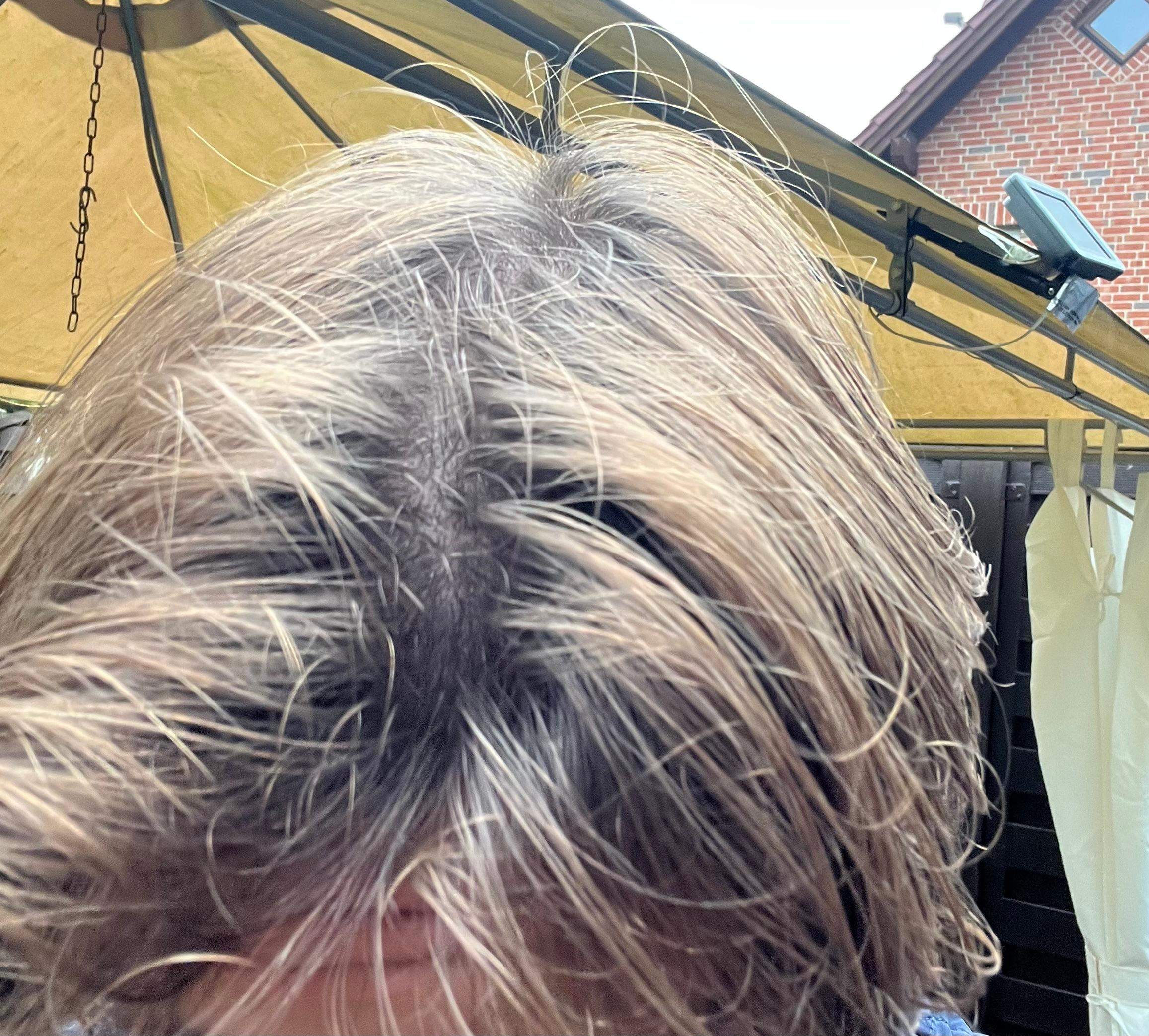 Warum sehen meine Haare so aus? (Aussehen, Style, Pflege)