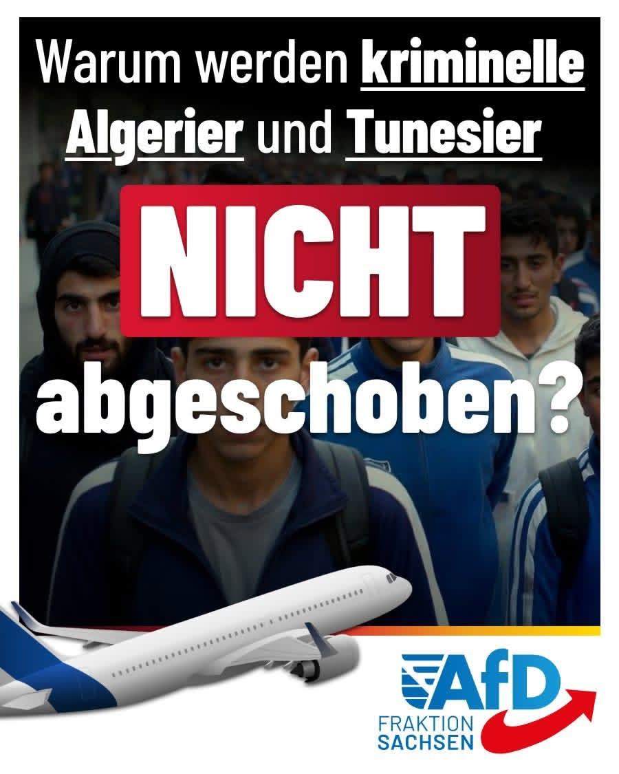 Warum werden kriminelle Algerier und Tunesier nicht abgeschoben? (Recht ...