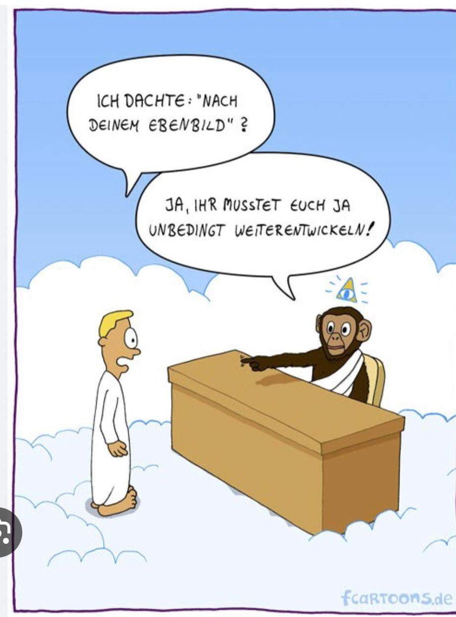 Was bedeutet diese folgende Karikatur zu dem Thema ...