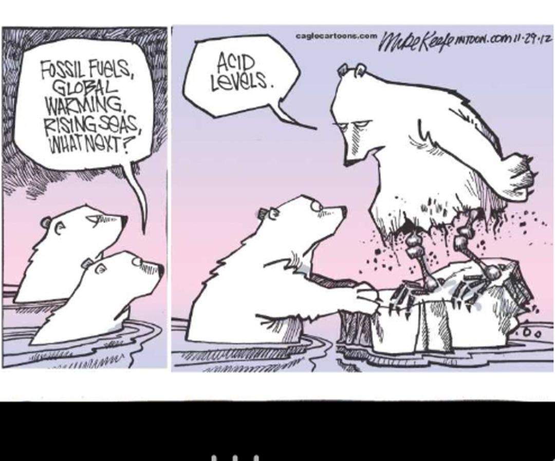 Was bedeutet dieser cartoon(der mit den Eisbär)? (Englisch, Bedeutung ...