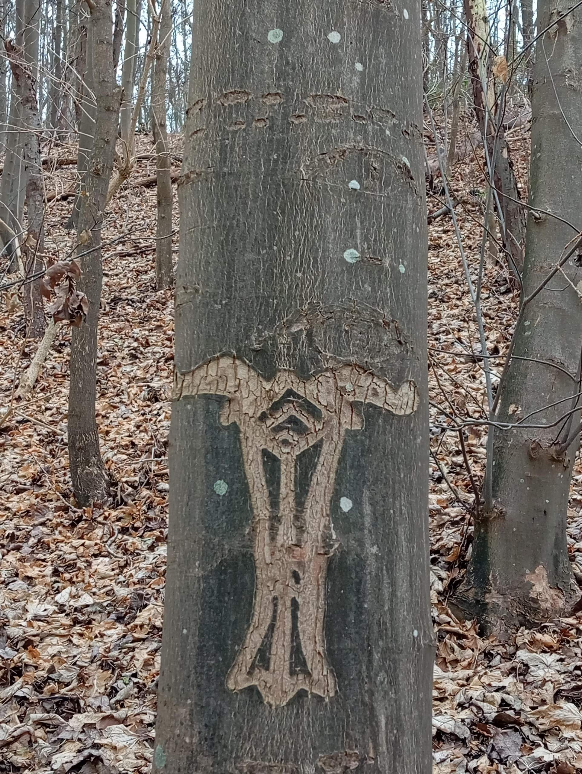 Was bedeutet dieses Zeichen im Wald? (Symbol)