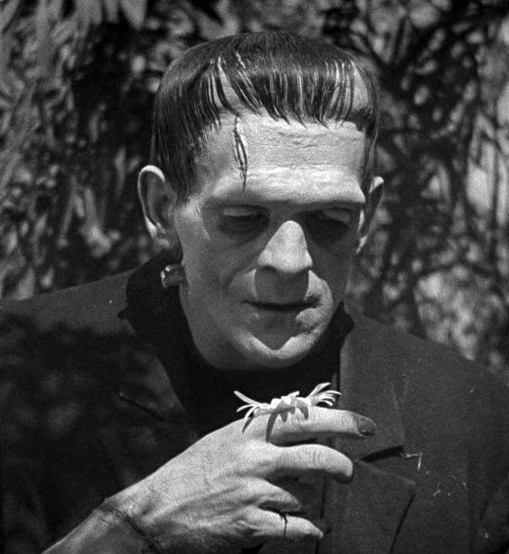 Was denkt ihr über das Monster...? (Kino, Horror, Fantasy)