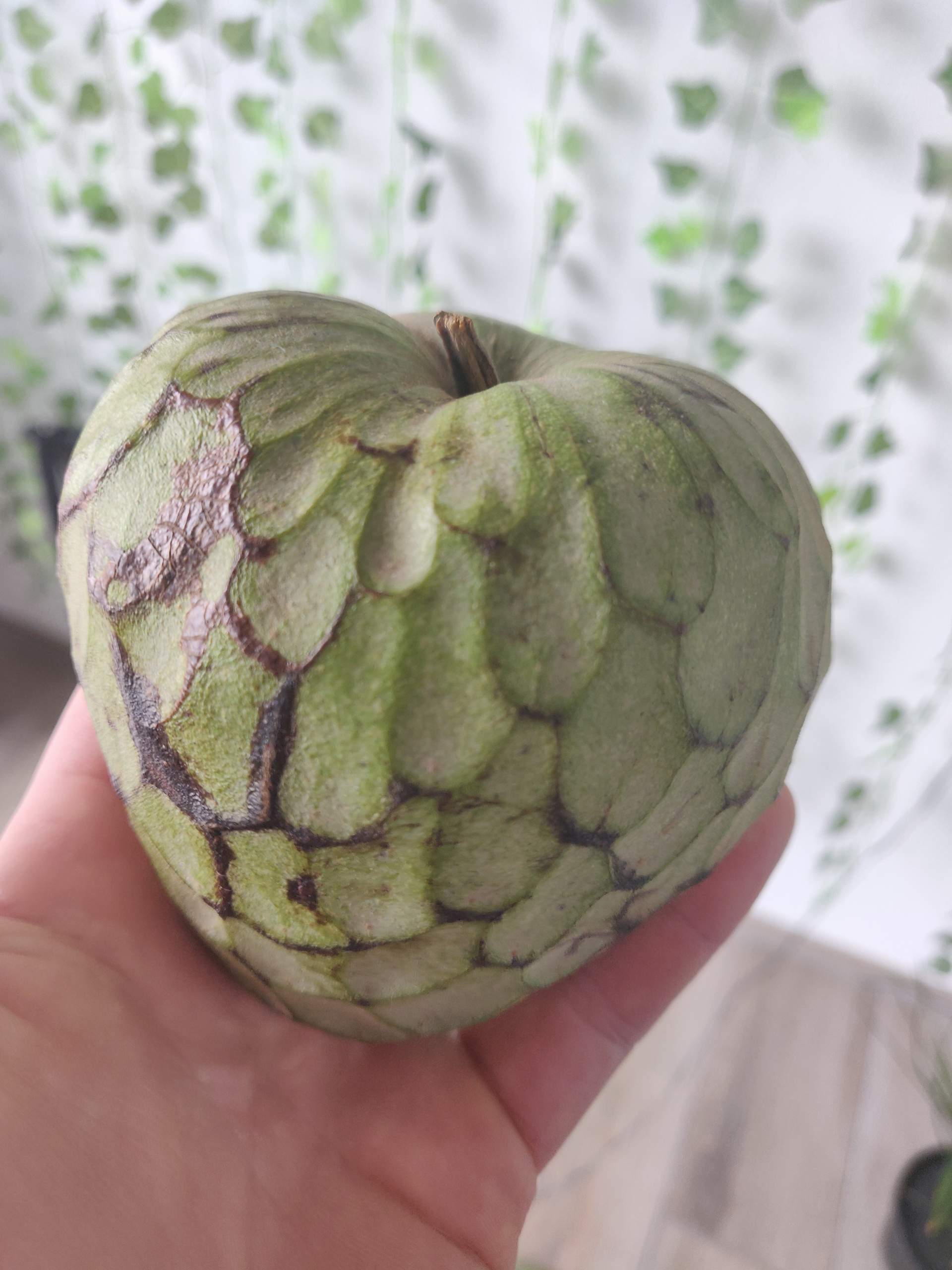 Was für eine Frucht ist das? (siehe Bild)? (Essen, Essen und Trinken ...