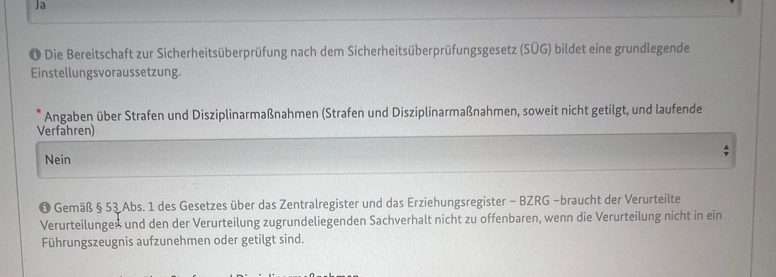 Was genau wird hier auf dem Bild gemeint? (Beruf, Polizei, Bewerbung)