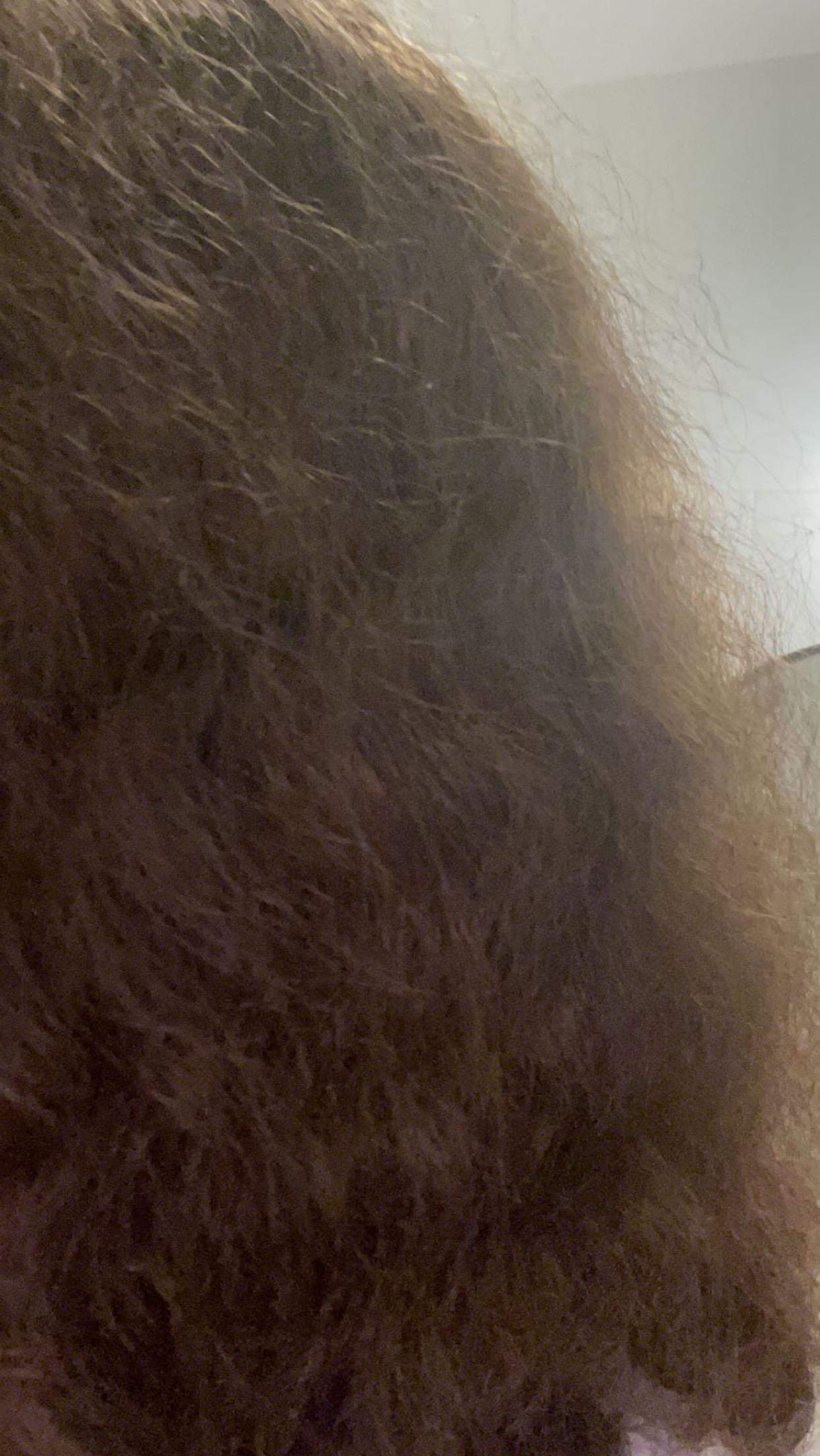 Was habe ich für einen harrtyb würdet ihr locken Shampoo empfehlen? (Aussehen, Style, Pflege)