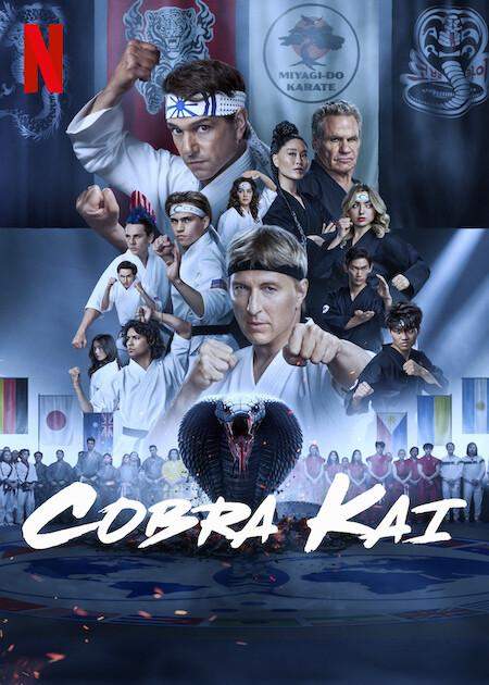 Was hält ihr von der Serie Kobra Kai? (Netflix, Cobra Kai)