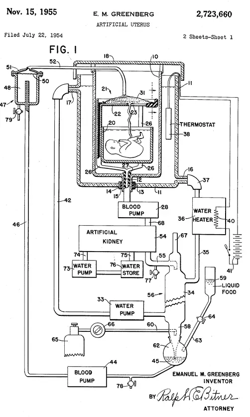 Was hältst Du von sog. »Bodyoids«? Seelenlose, menschliche ...