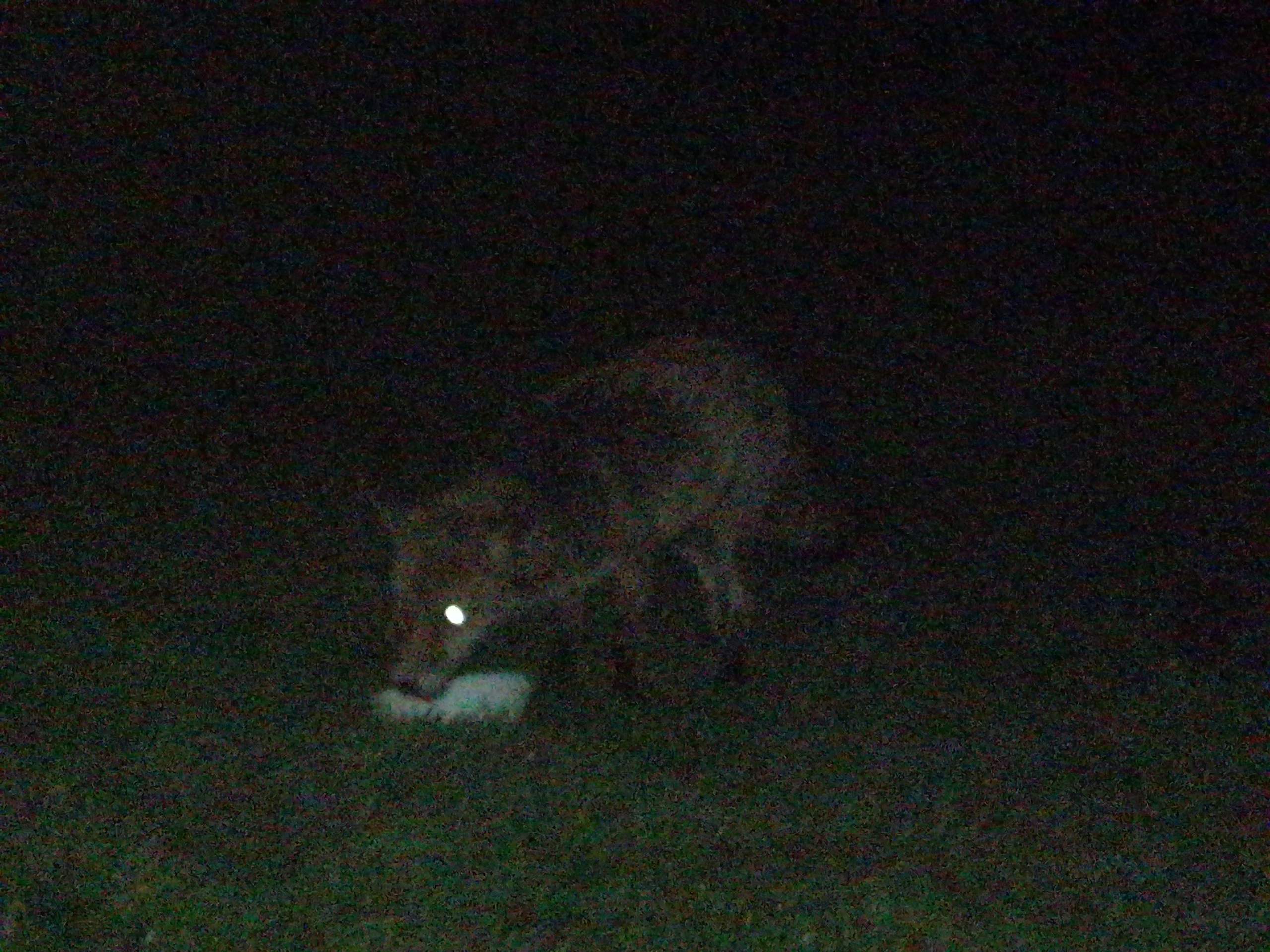 Was hat das für eine Bedeutung wenn Füchse einen leicht beißen? (Tiere ...