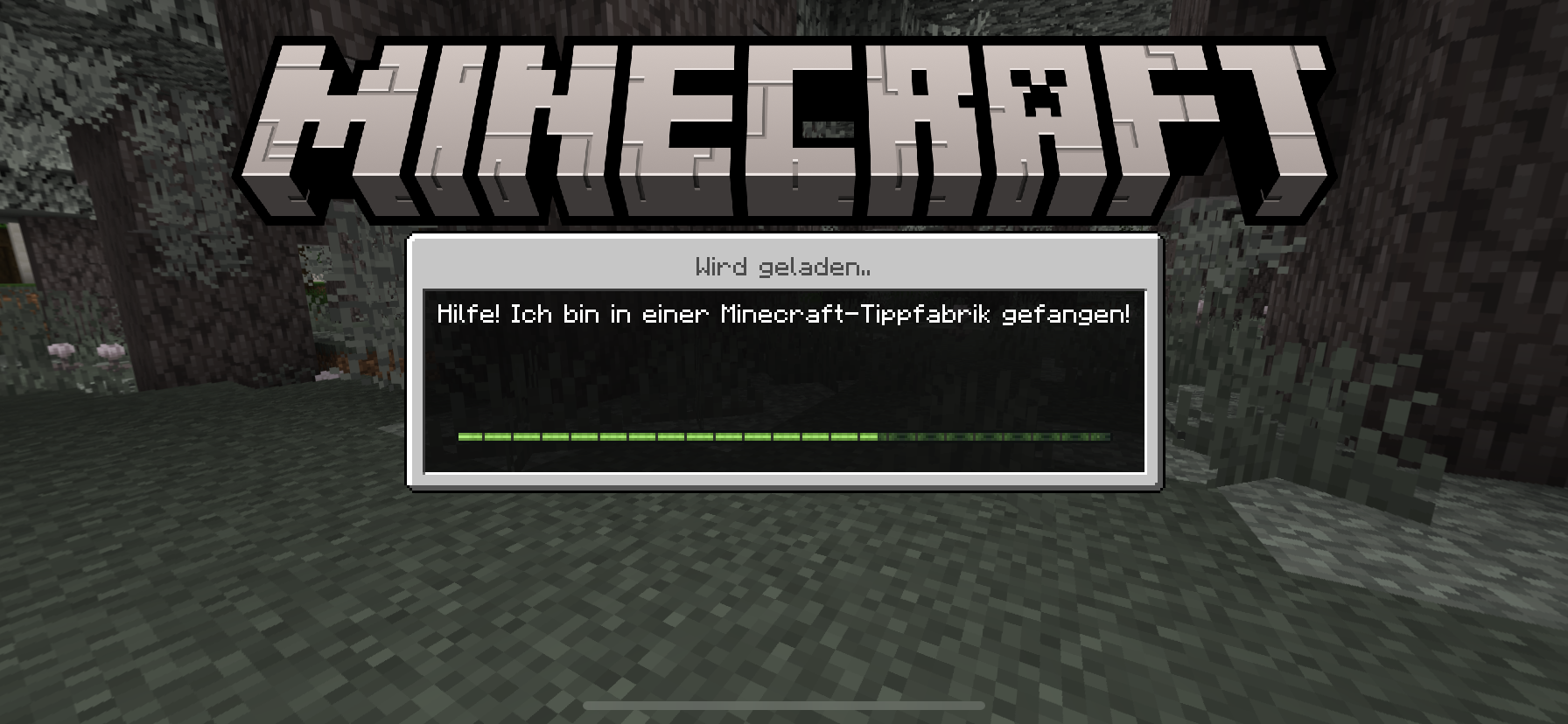 Was ist das? (Computerspiele, Minecraft, Minecraft Java Edition)