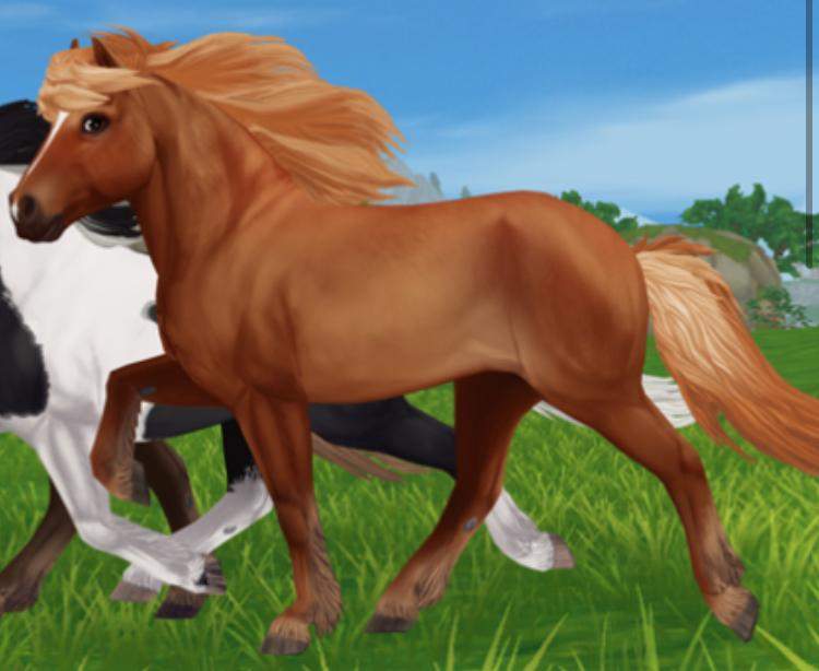 Was ist das beste Pferd in SSO? (Star Stable, Pferderassen)