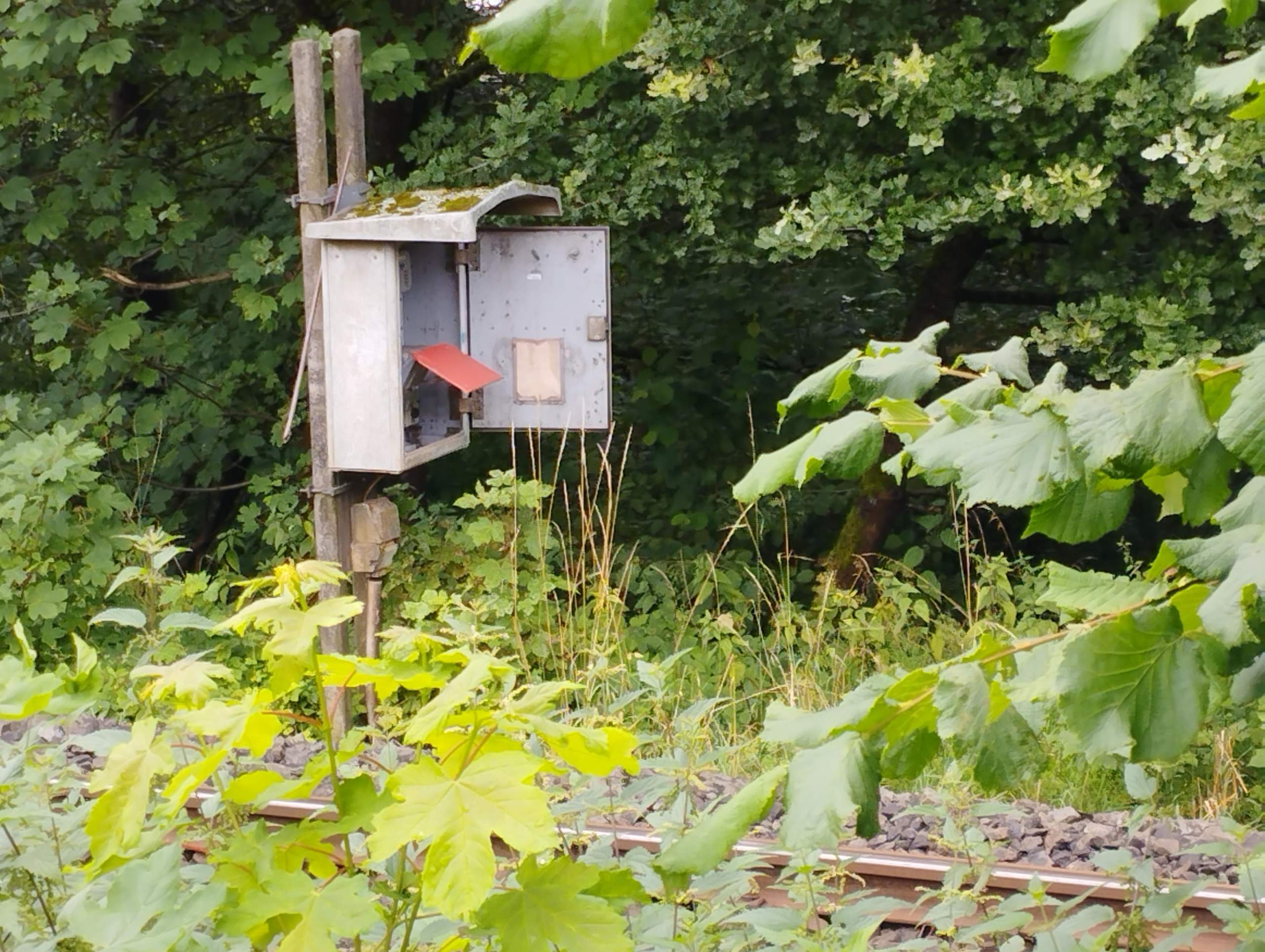 Was ist das für ein Kasten am Gleis rand? (Zug, Lokführer)