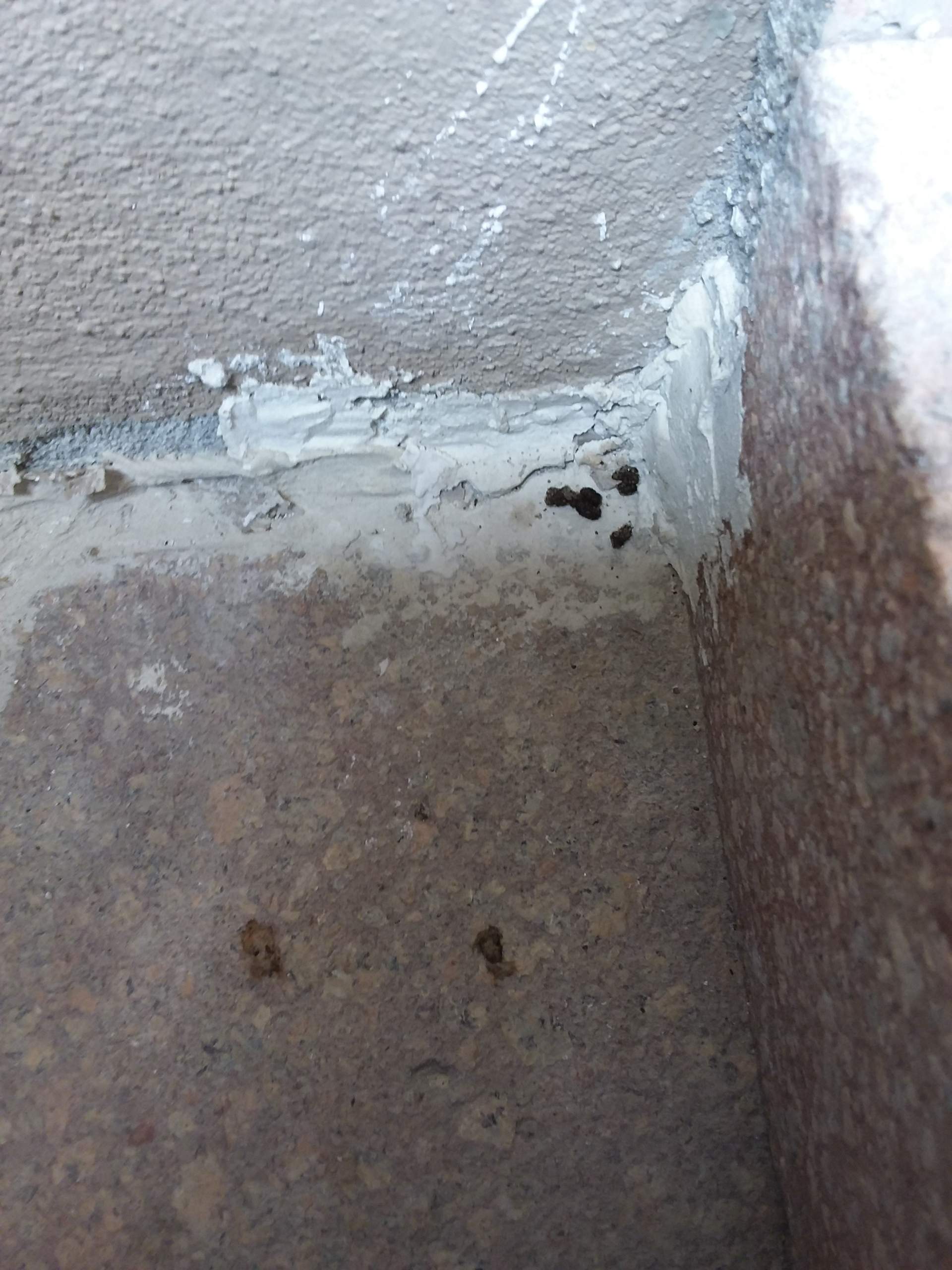 Was ist das für ein Kot? Ich denke für eine Ratte zu klein. Oder? (Ratten)