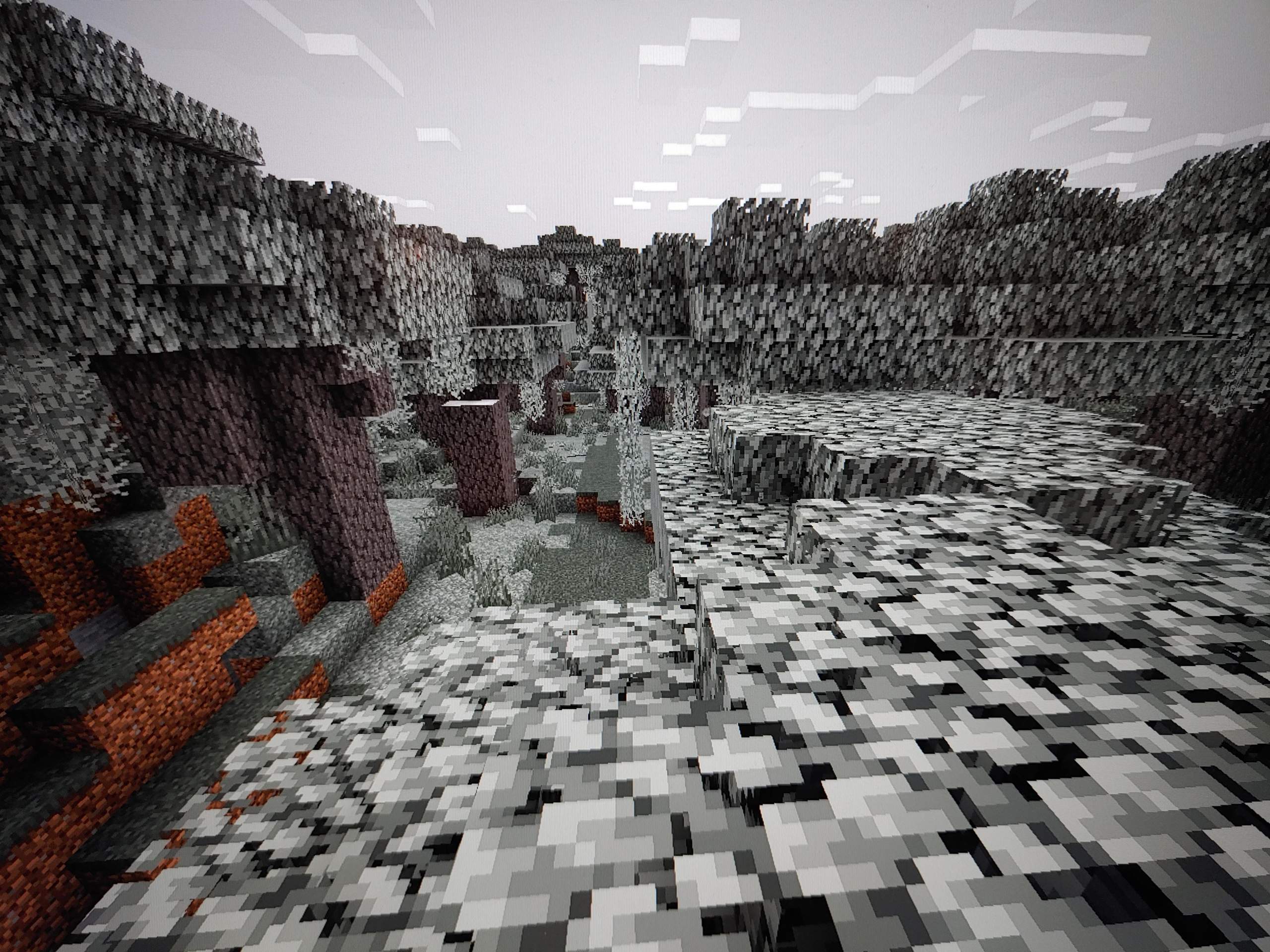 Was ist das für ein Minecraft Biom? (Computerspiele, Minecraft Java Edition)