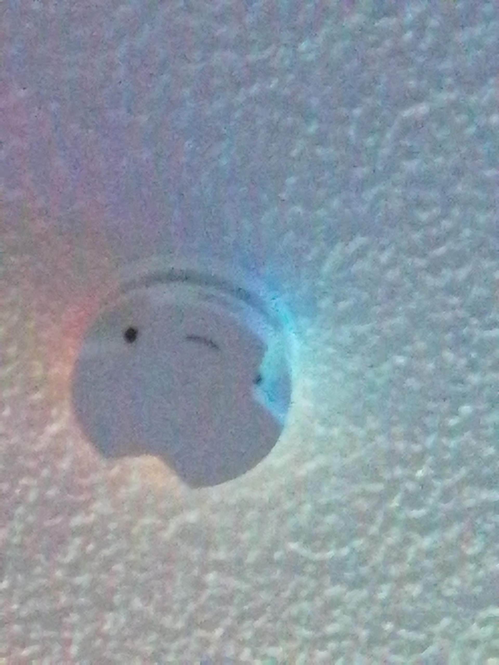 Was ist das für ein rauchmelder? (Rauchen, Feuerwehr)