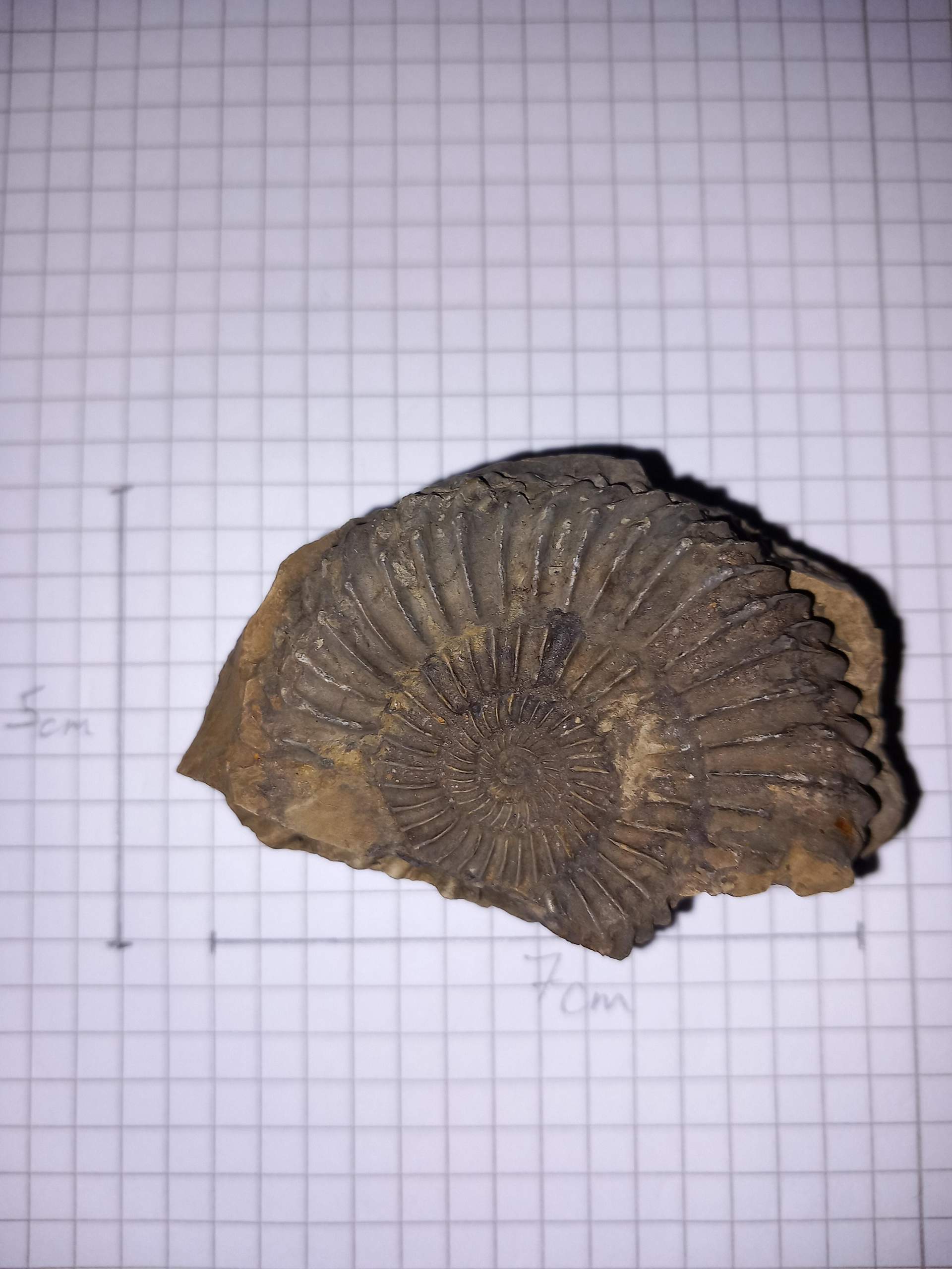 Was ist das für ein Stein? Und hat es einen Wert? (Steine, Geologie, Gestein)